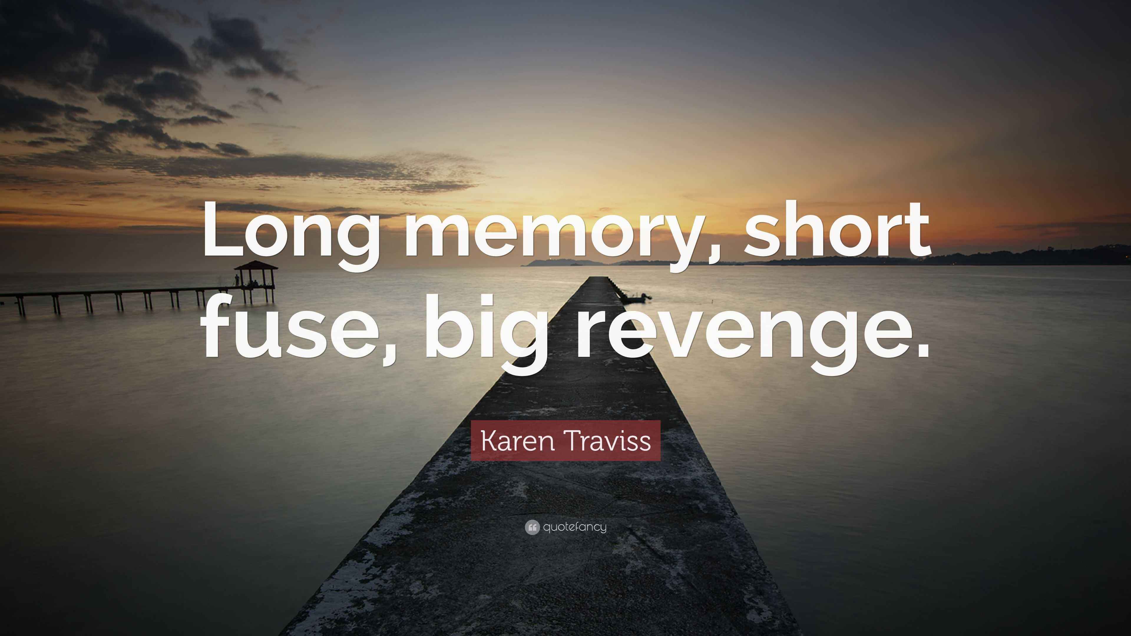 Karen Traviss Quote: “Long memory, short fuse, big revenge.”