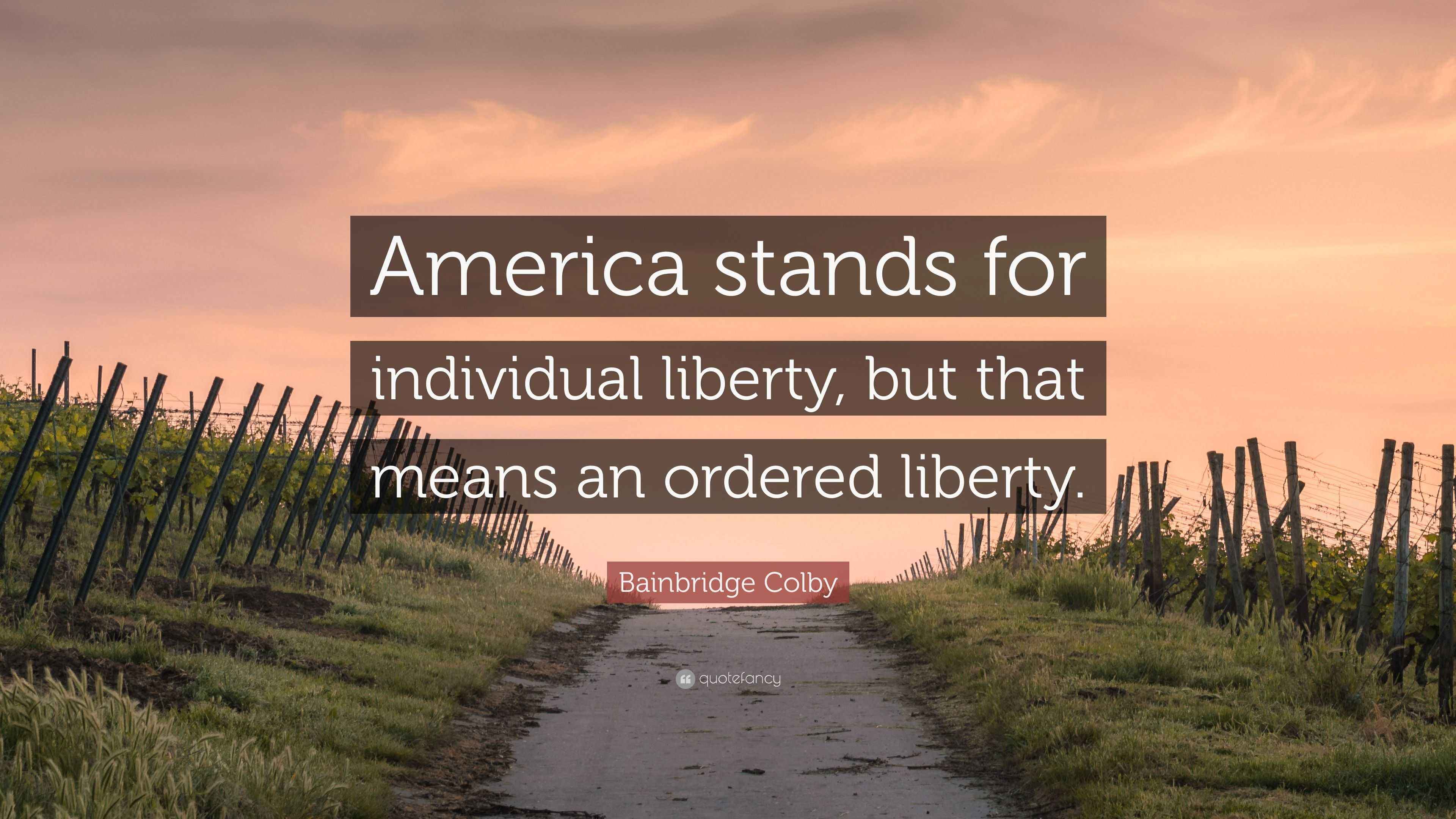 Bainbridge Colby Quote: “America stands for individual liberty, but ...