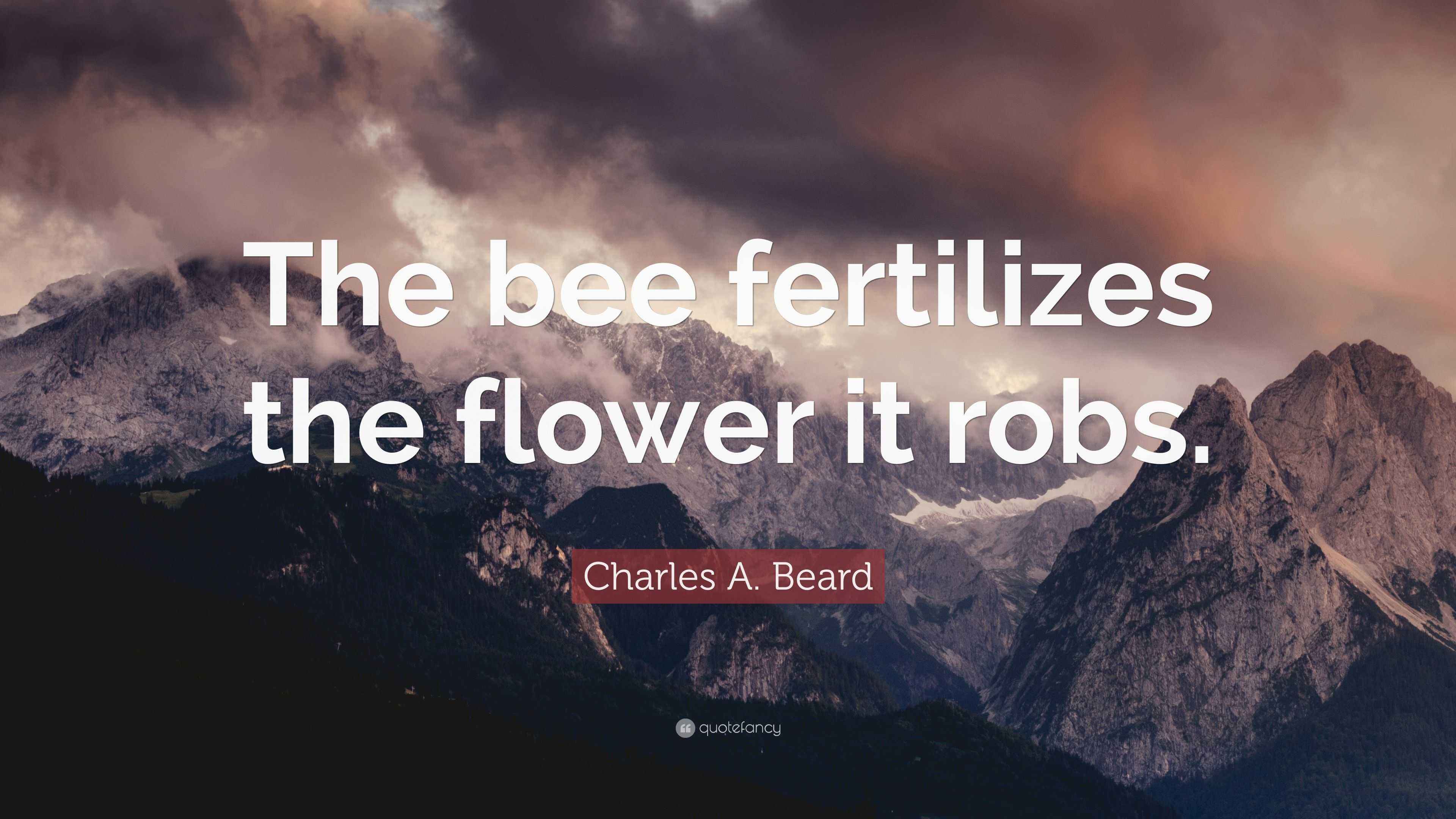 Charles A. Beard Quote: “The bee fertilizes the flower it robs.”