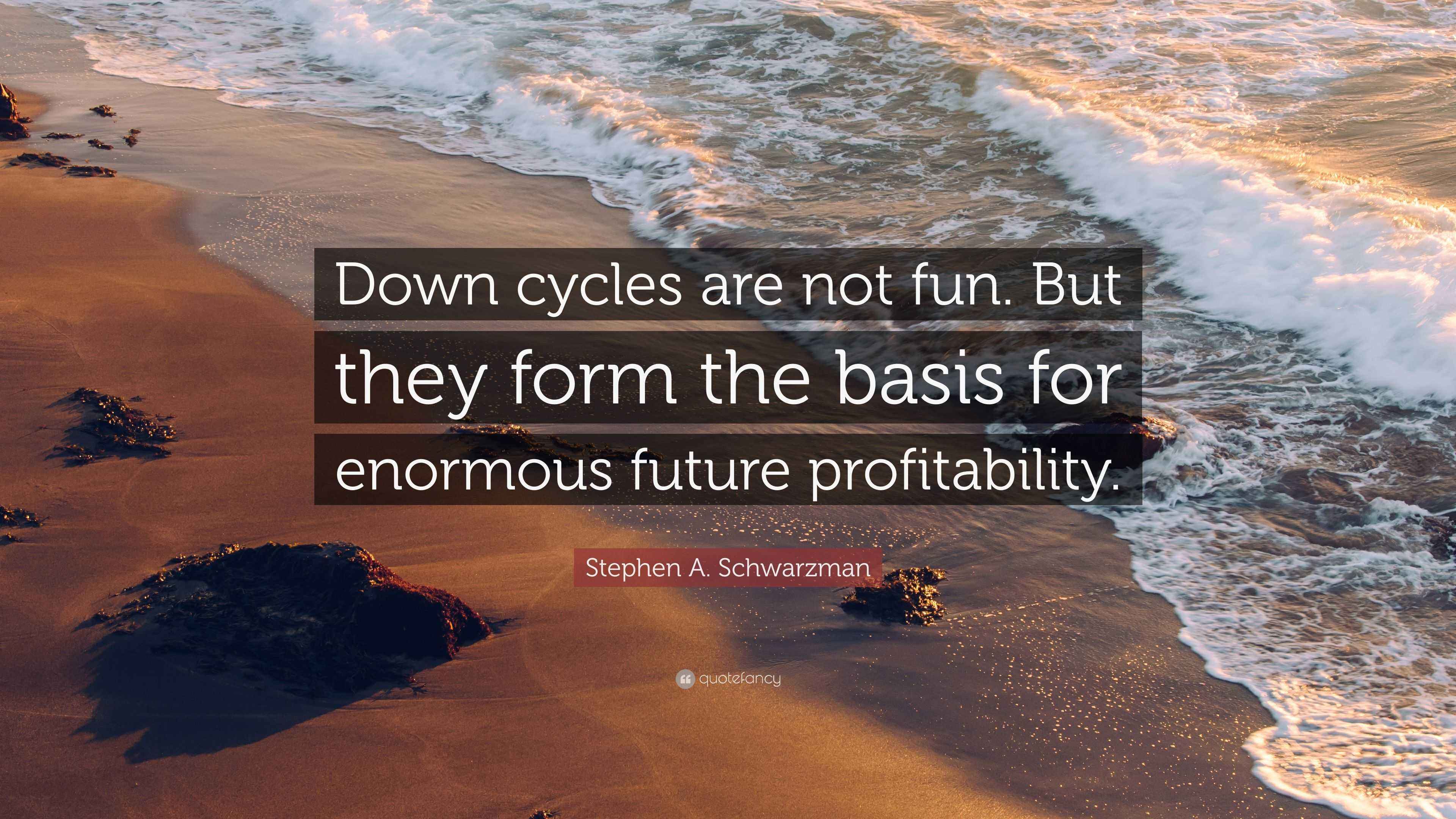 Stephen A. Schwarzman Quote: “Down cycles are not fun. But they form ...