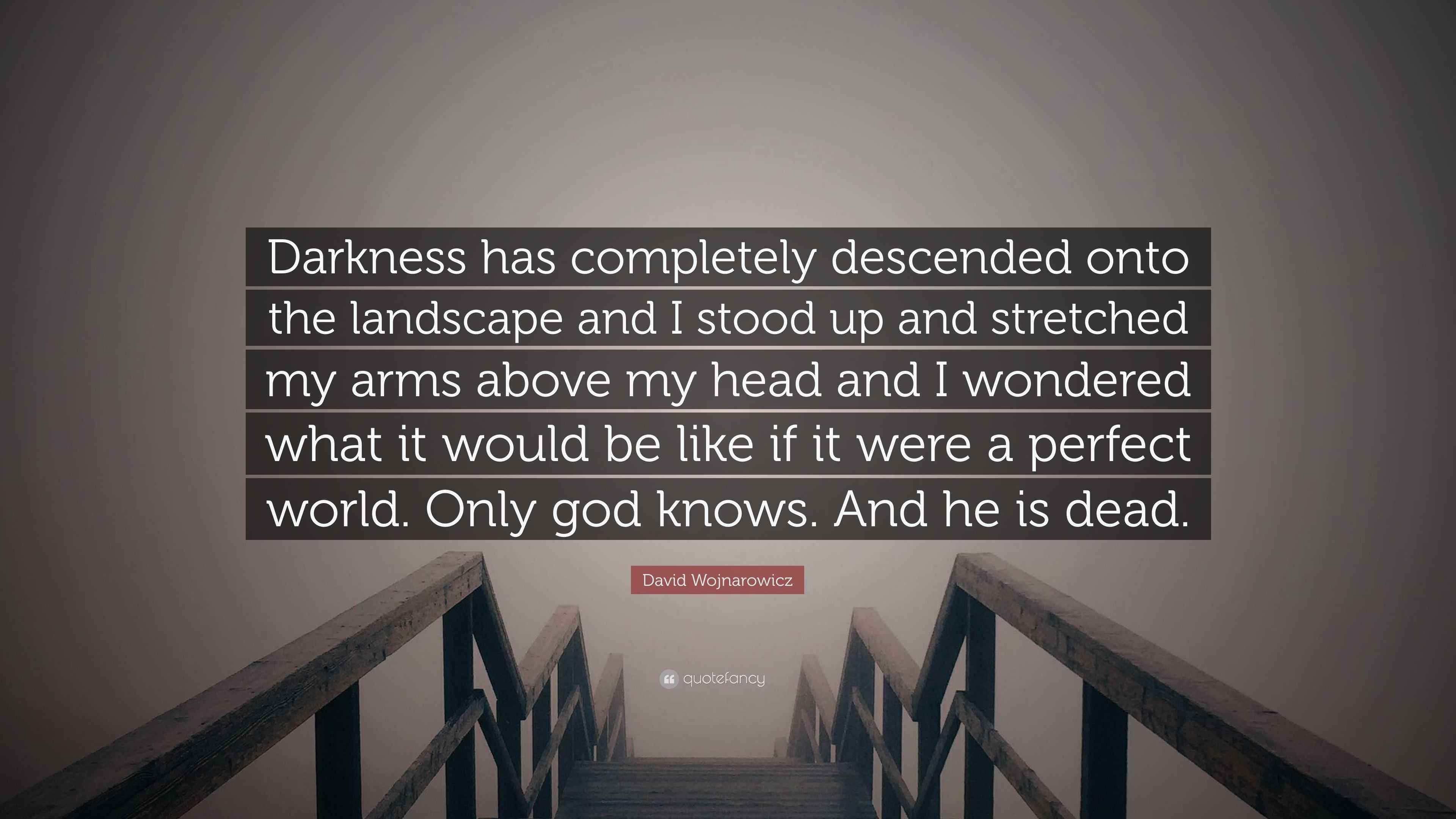 David Wojnarowicz Quote: “Darkness has completely descended onto the ...