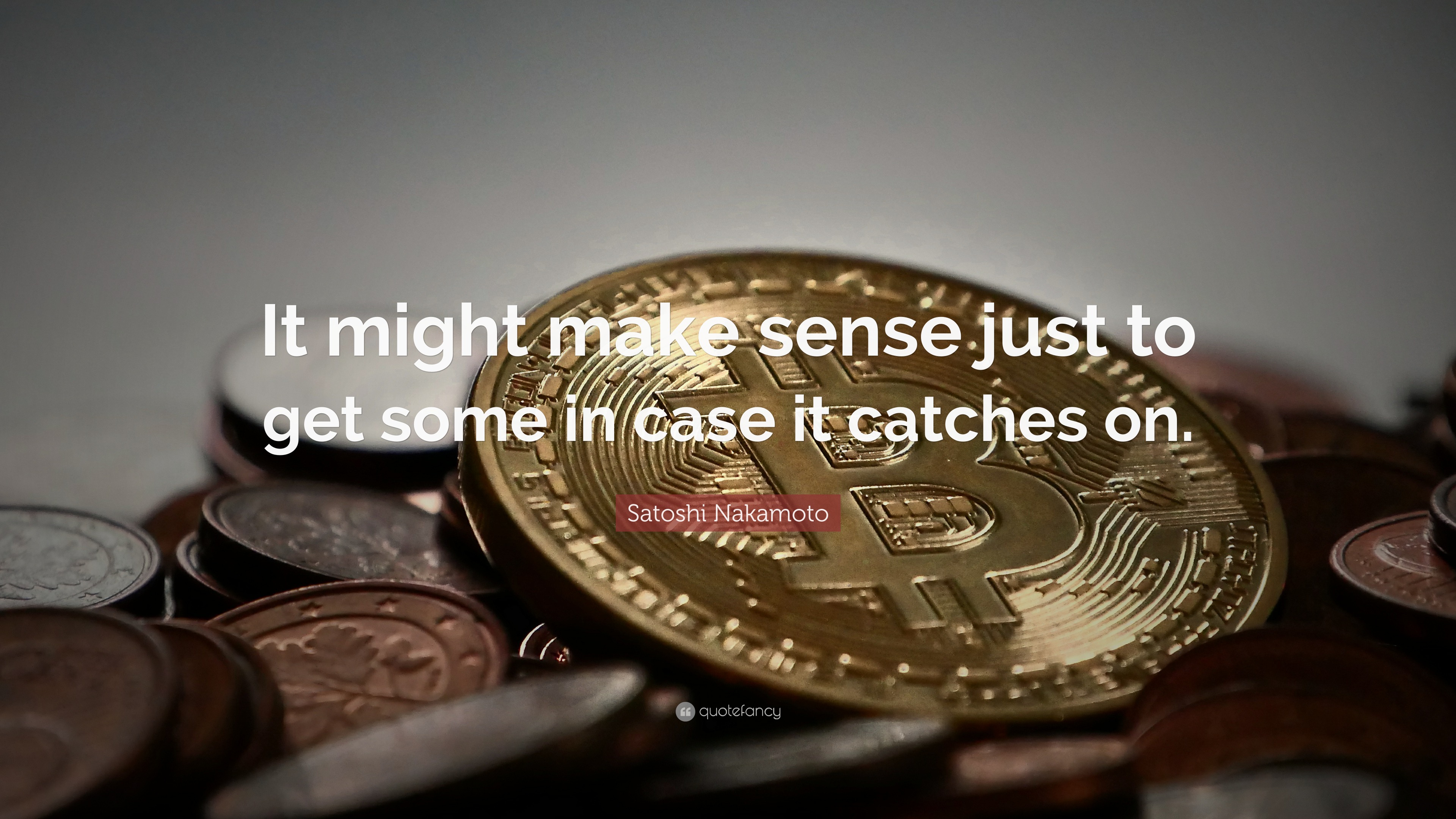 Satoshi Nakamoto Quote: “It might make sense just to get some in case ...