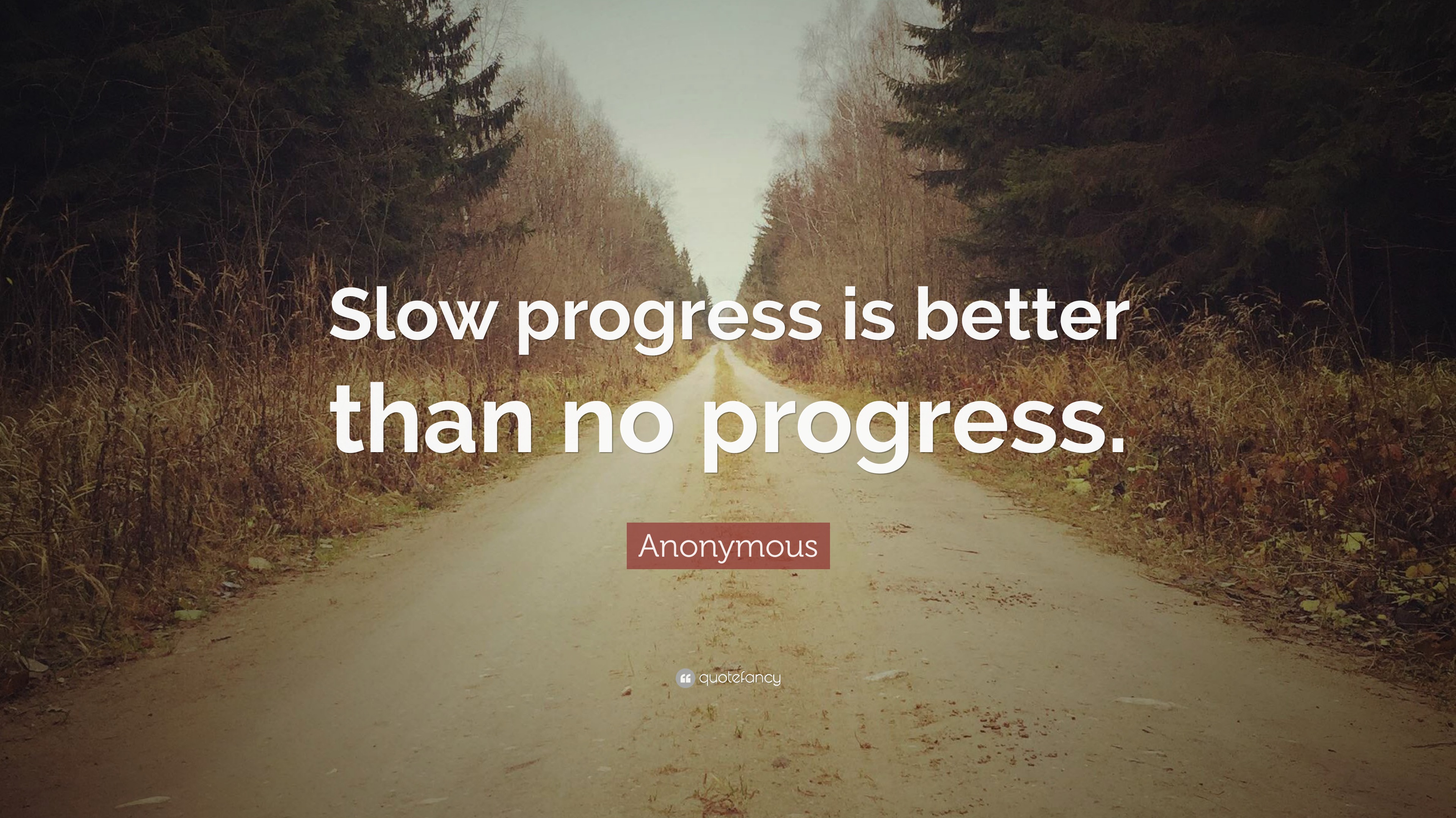 Anonymous Quote: “Slow progress is better than no progress.”