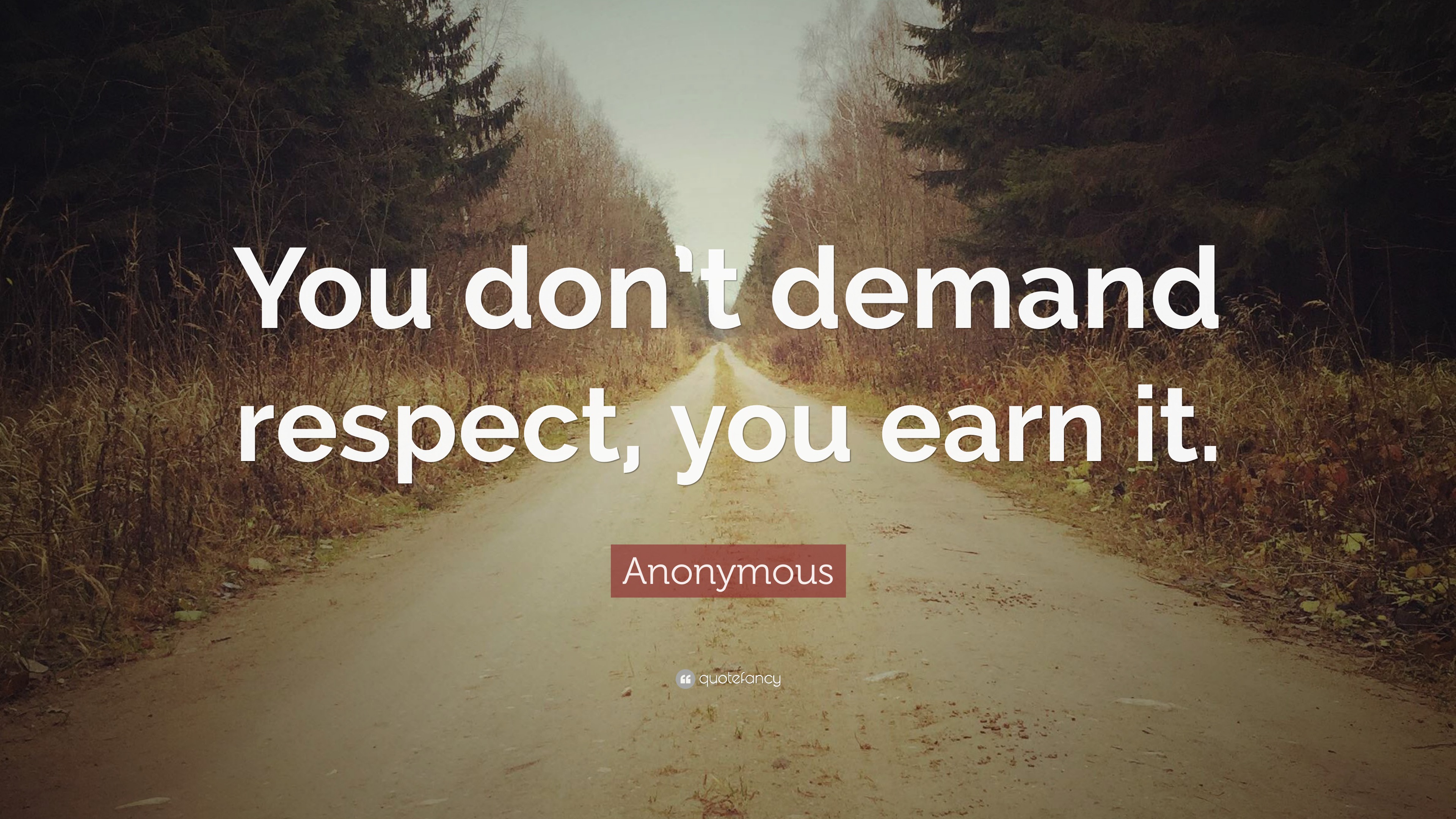 Anonymous Quote: “You don’t demand respect, you earn it.”