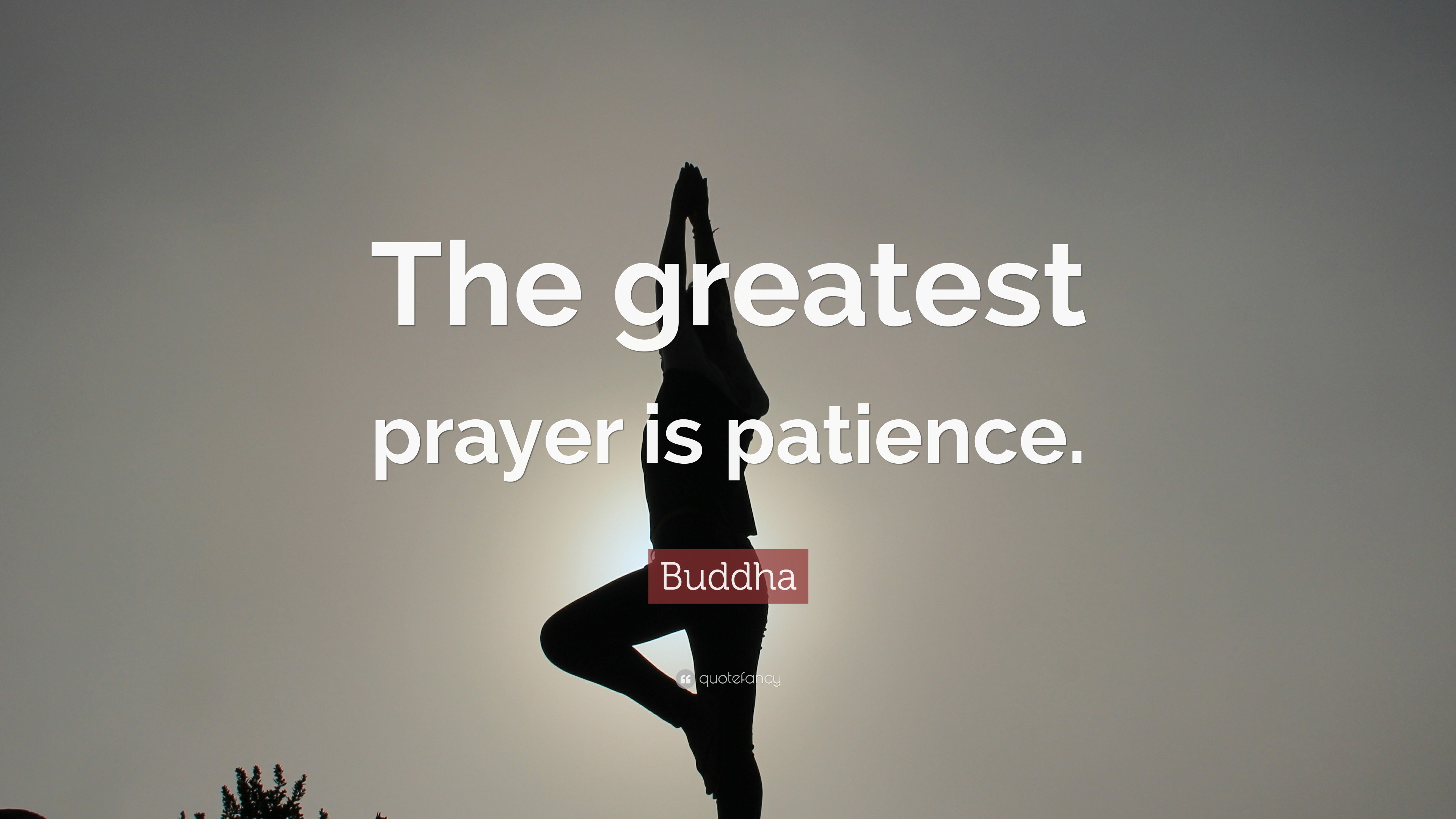 Buddha Quote: “The greatest prayer is patience.”