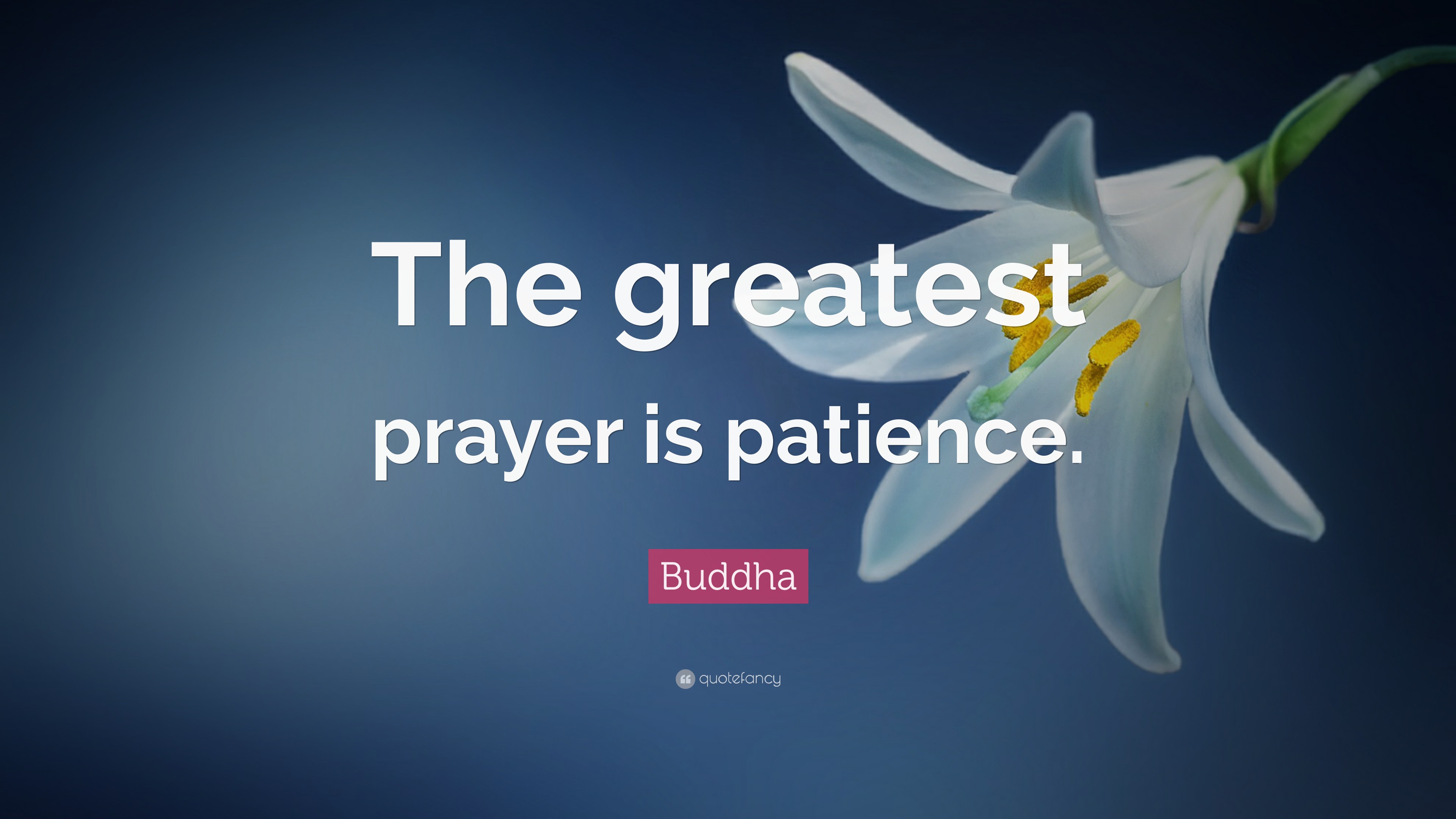 Buddha Quote: “The greatest prayer is patience.”