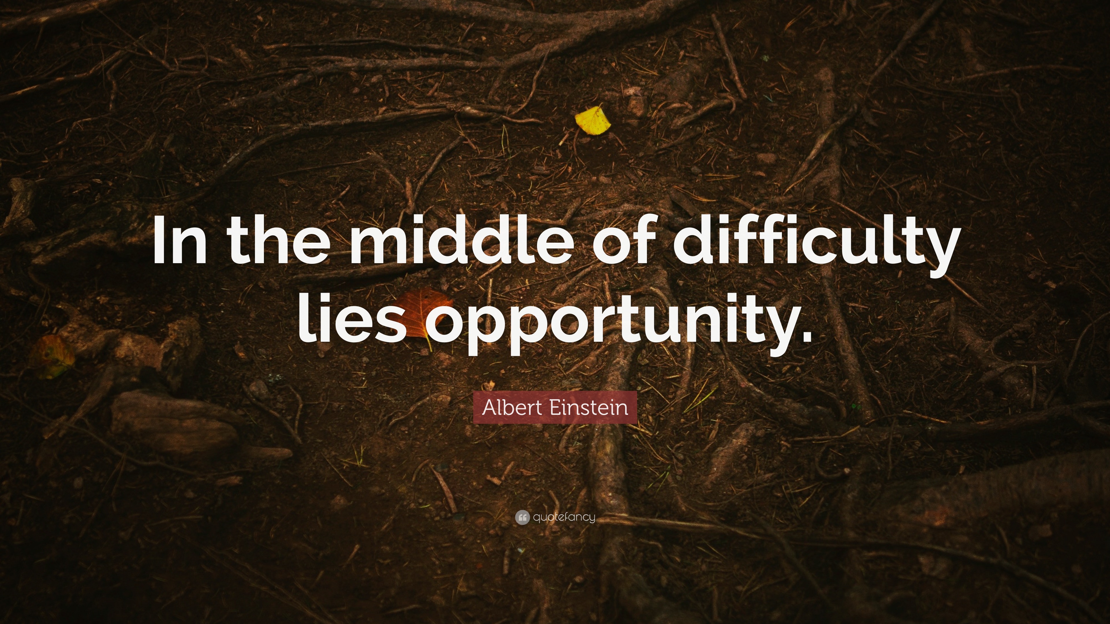 Albert Einstein Quote: “In the middle of difficulty lies opportunity.”