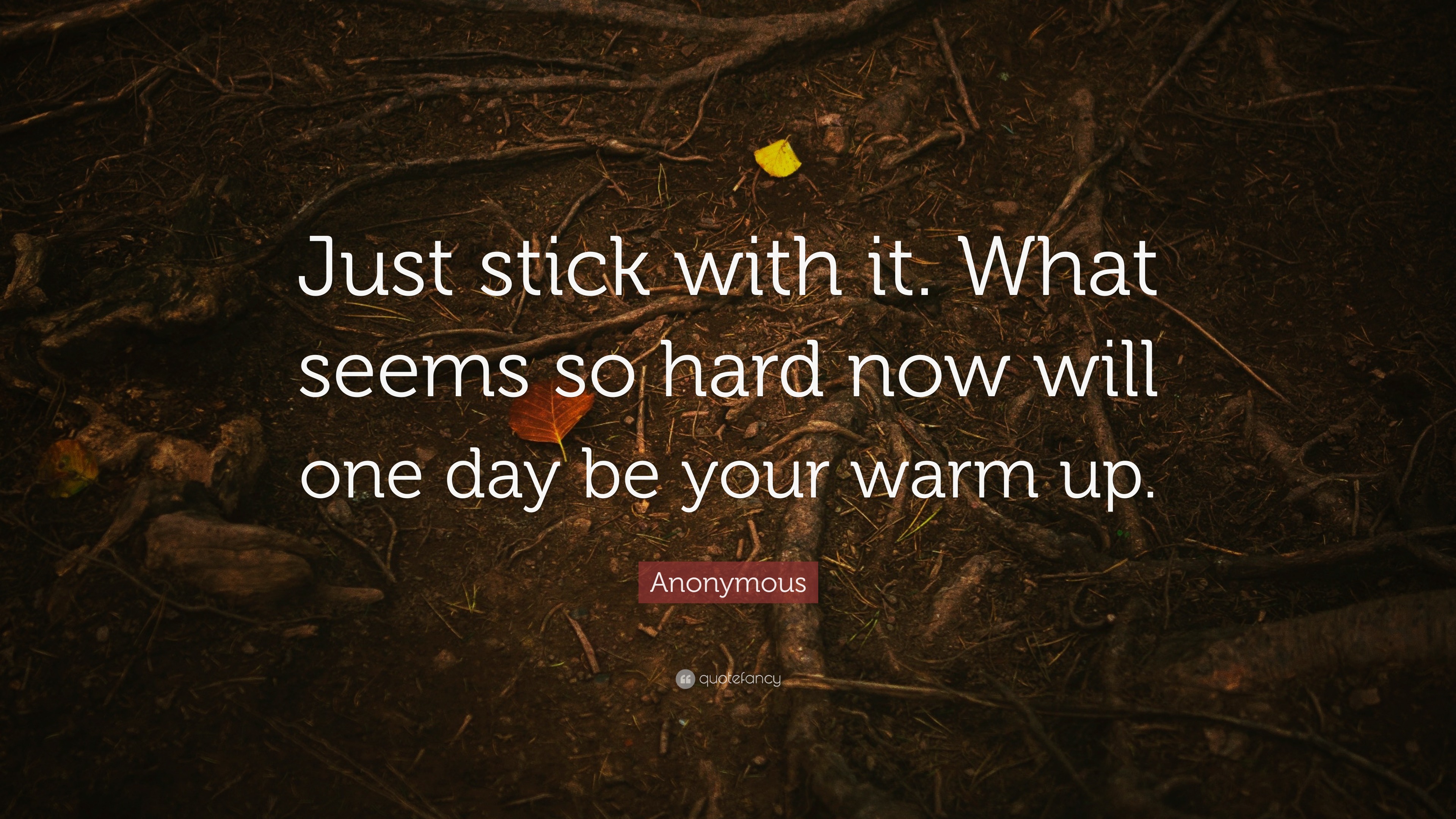 Anonymous Quote: “Just stick with it. What seems so hard now will one ...