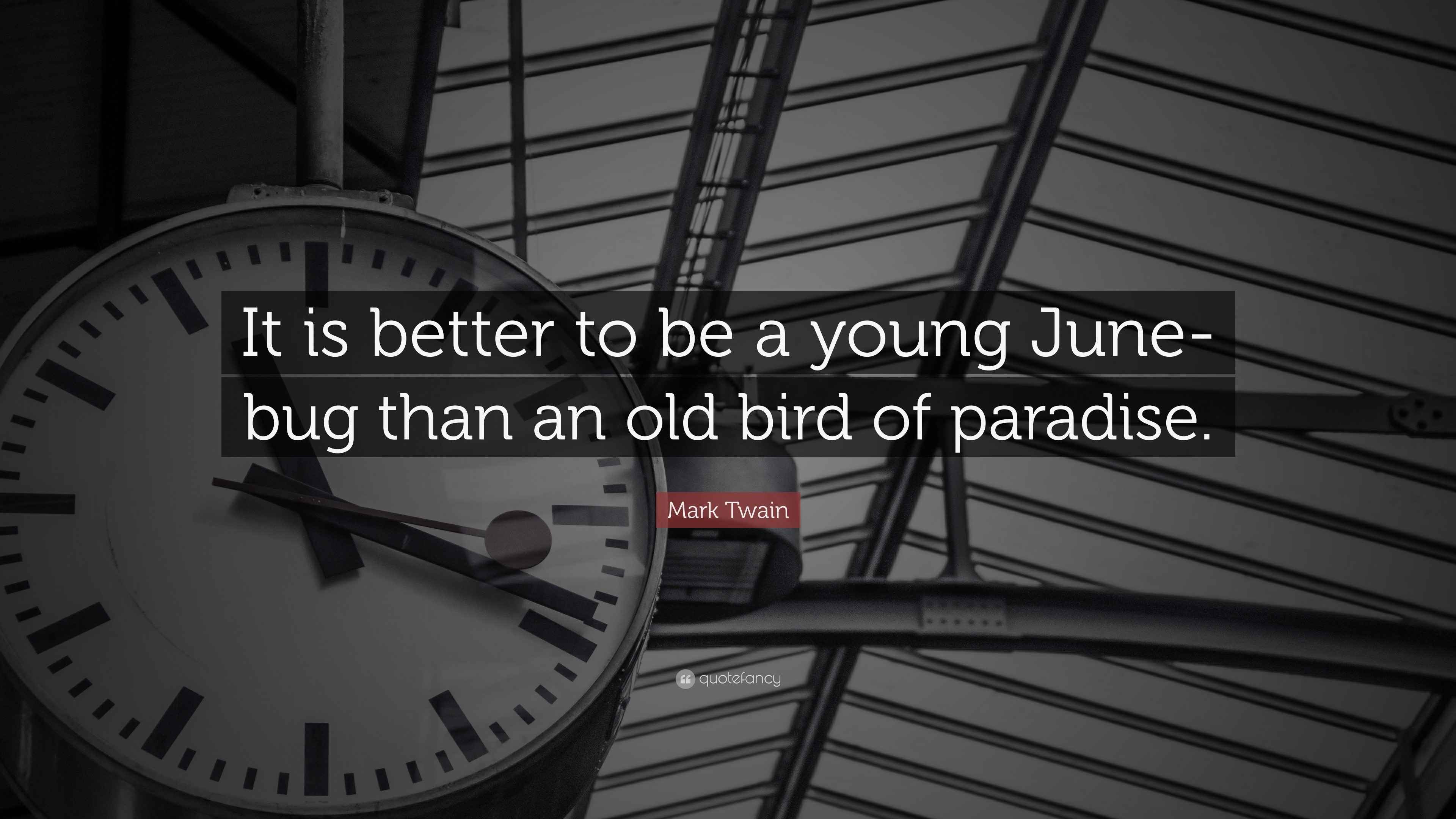 Mark Twain Quote: “It is better to be a young June-bug than an old bird ...