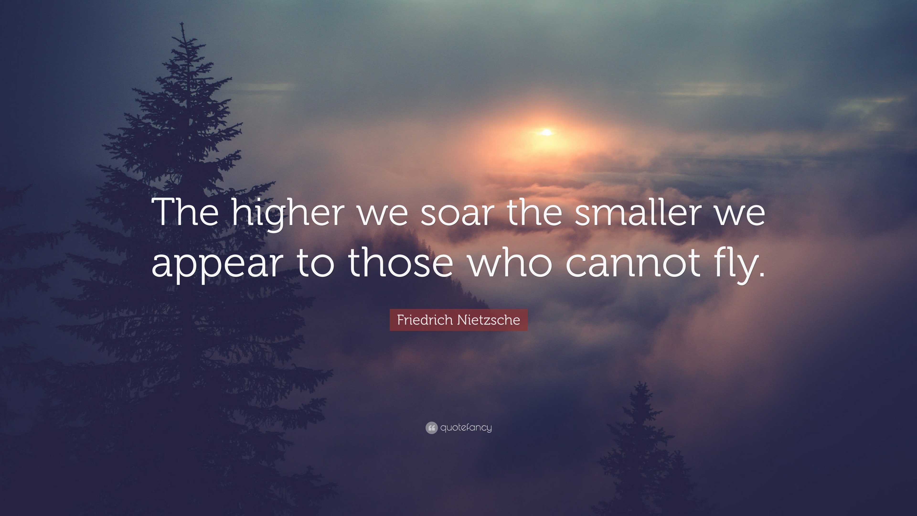 Friedrich Nietzsche Quote: “The higher we soar the smaller we appear to ...