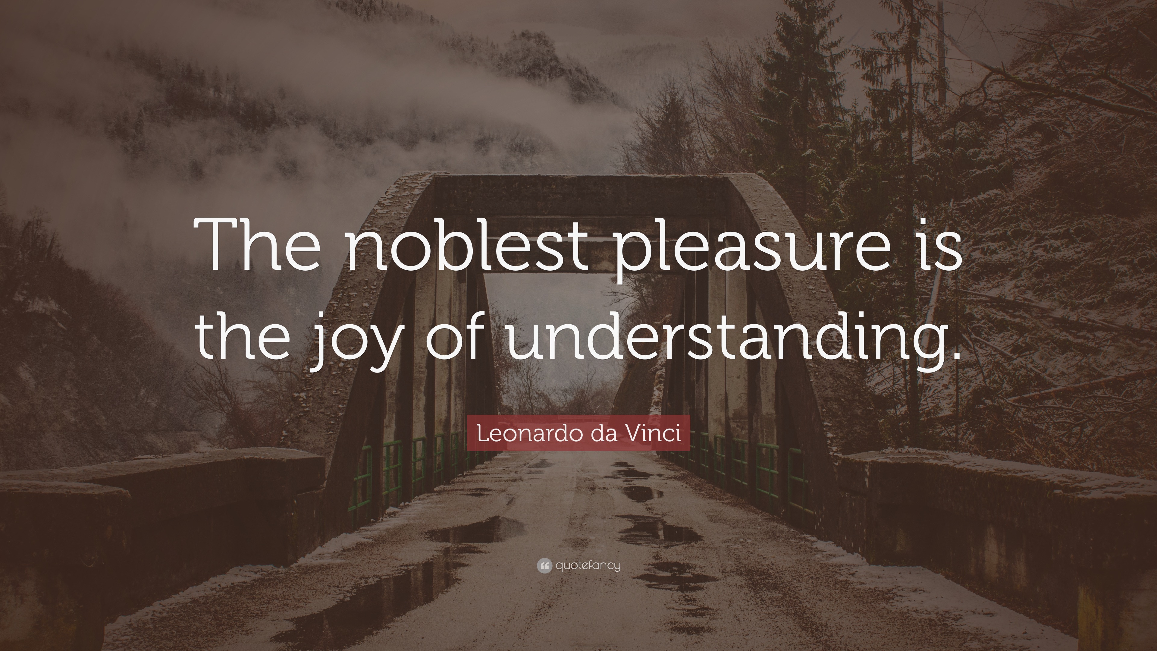 Leonardo da Vinci Quote: “The noblest pleasure is the joy of ...