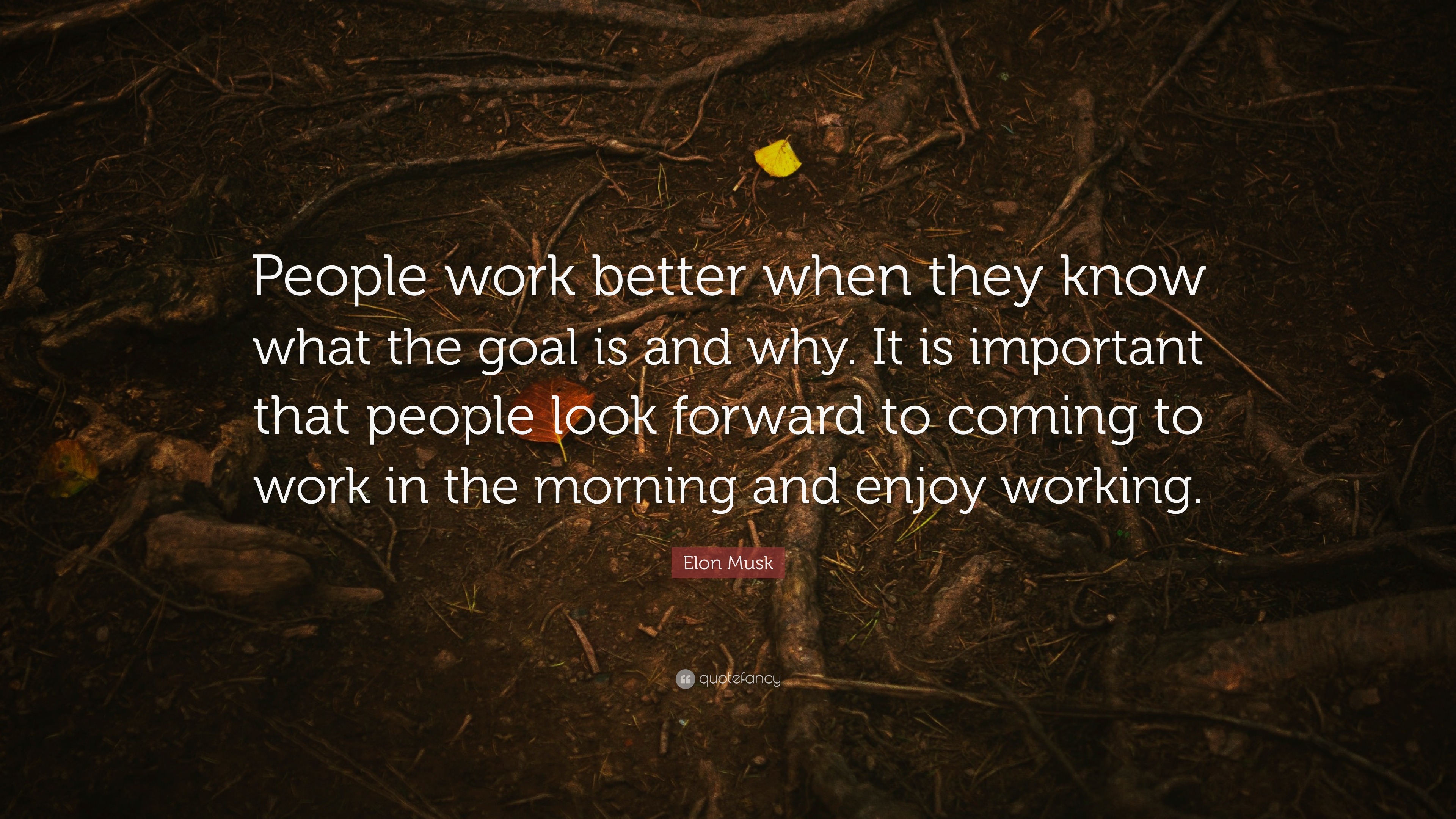 Elon Musk Quote: “People work better when they know what the goal is ...