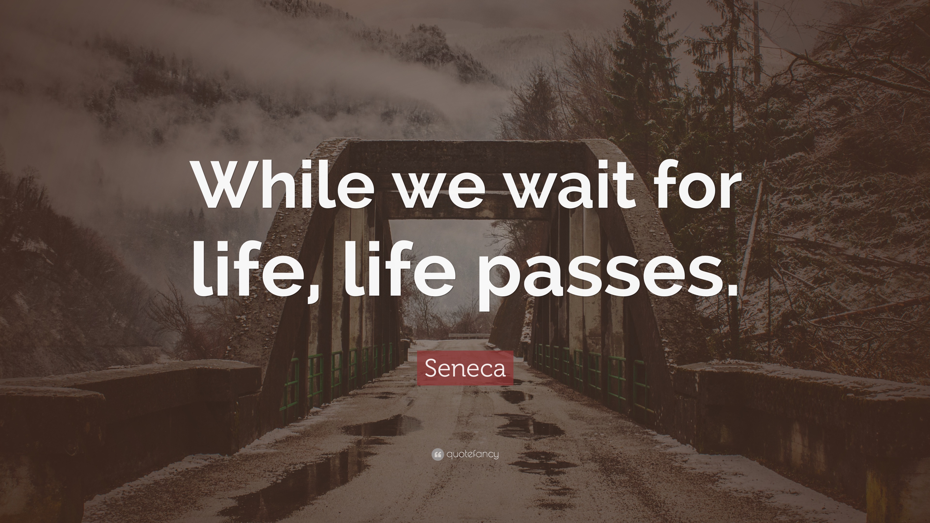 Seneca Quote: “While we wait for life, life passes.”