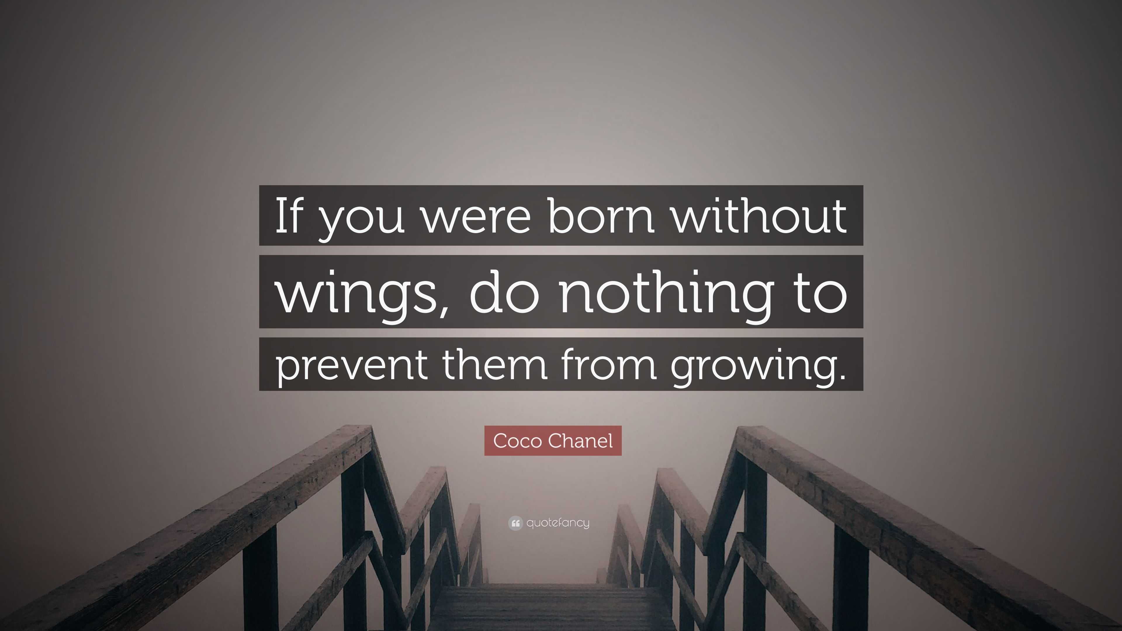Coco Chanel Quote: “If you were born without wings, do nothing to ...