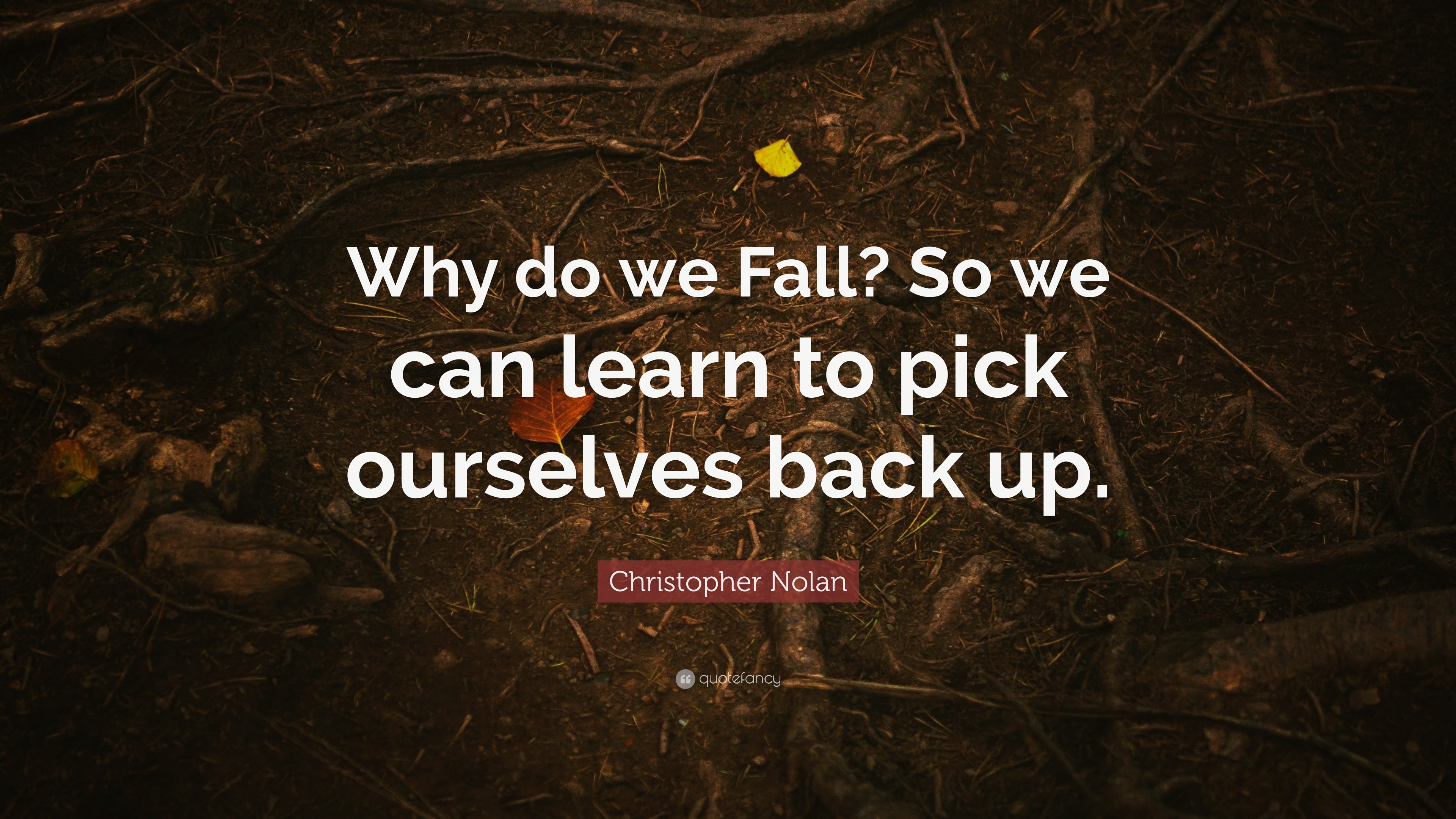 Why Do We Fall Quote