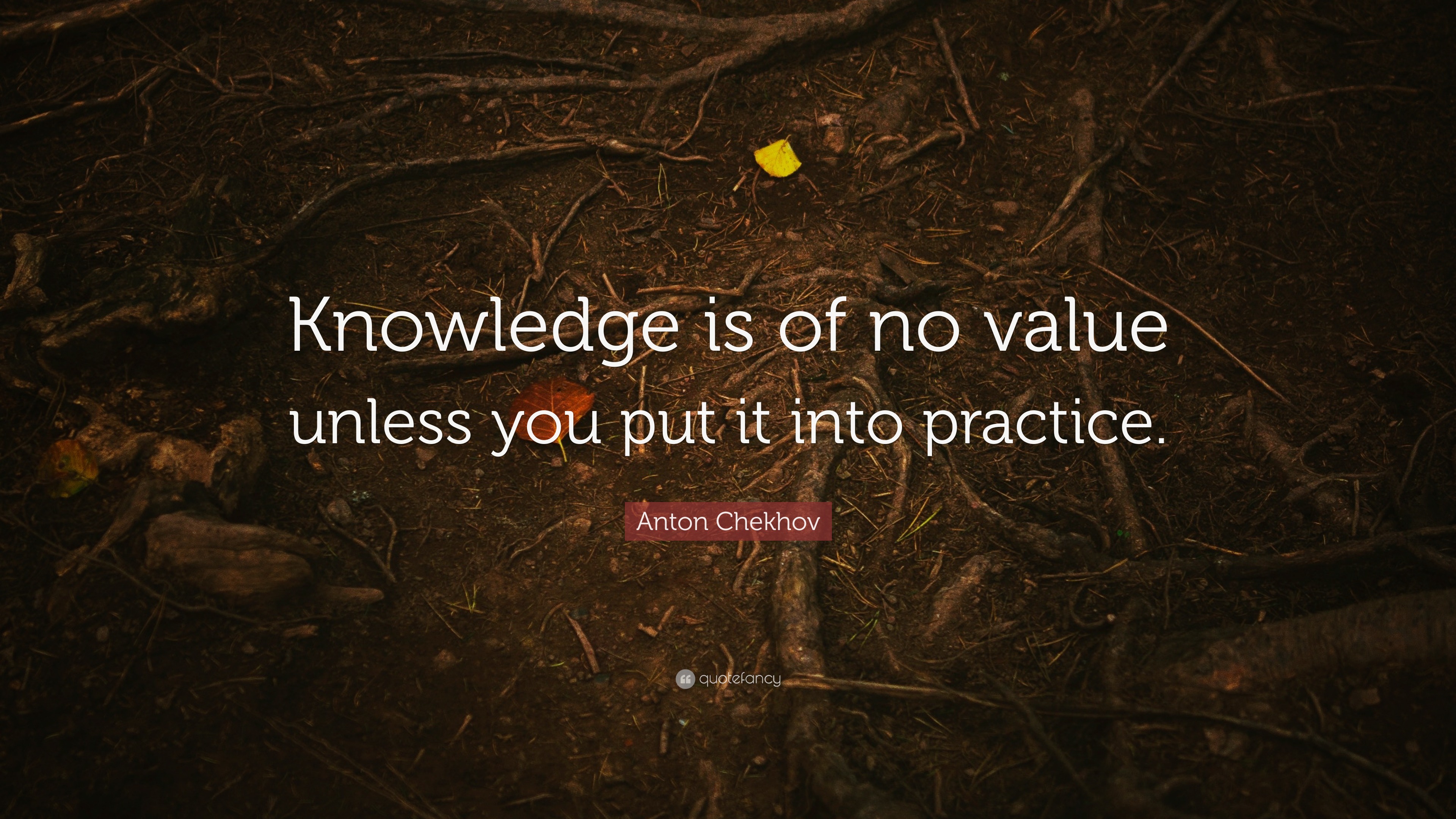 Anton Chekhov Quote: “Knowledge is of no value unless you put it into ...