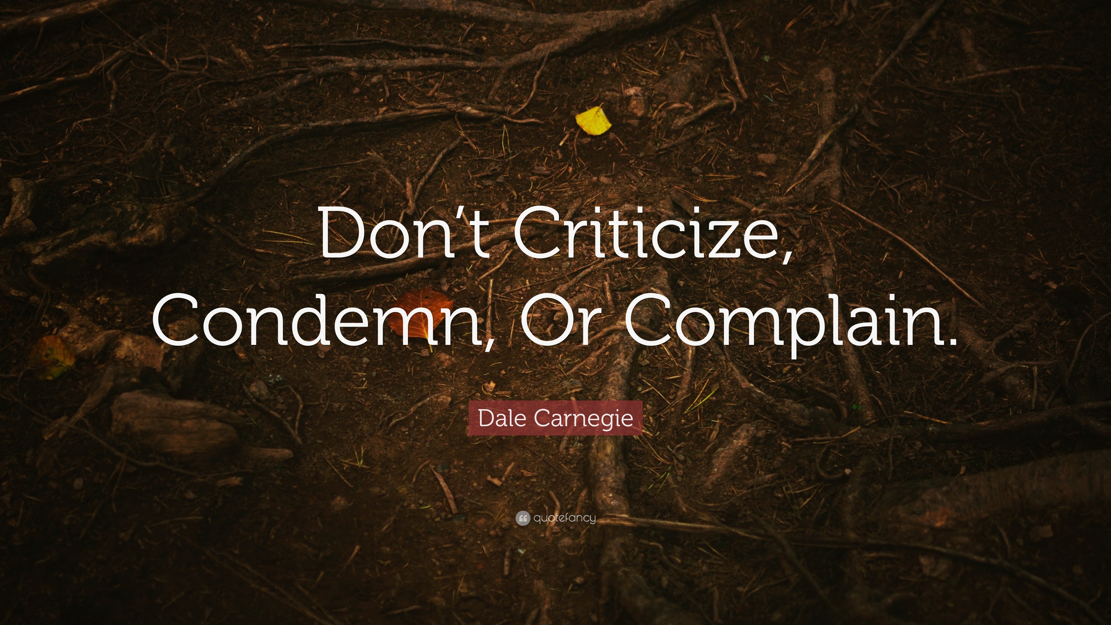 Dale Carnegie Quote: “Don’t Criticize, Condemn, Or Complain.”