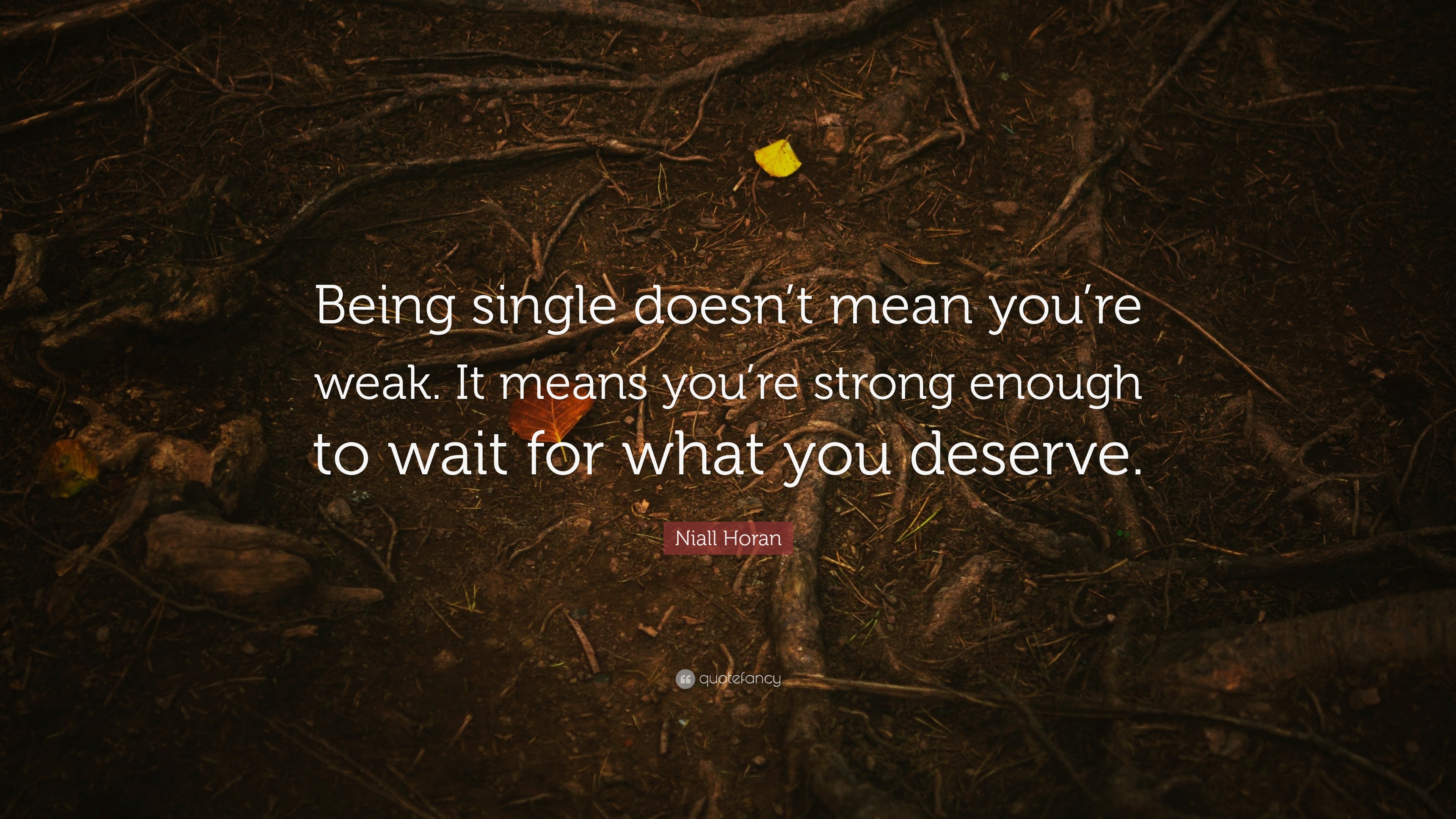 Niall Horan Quote: “Being single doesn’t mean you’re weak. It means you ...
