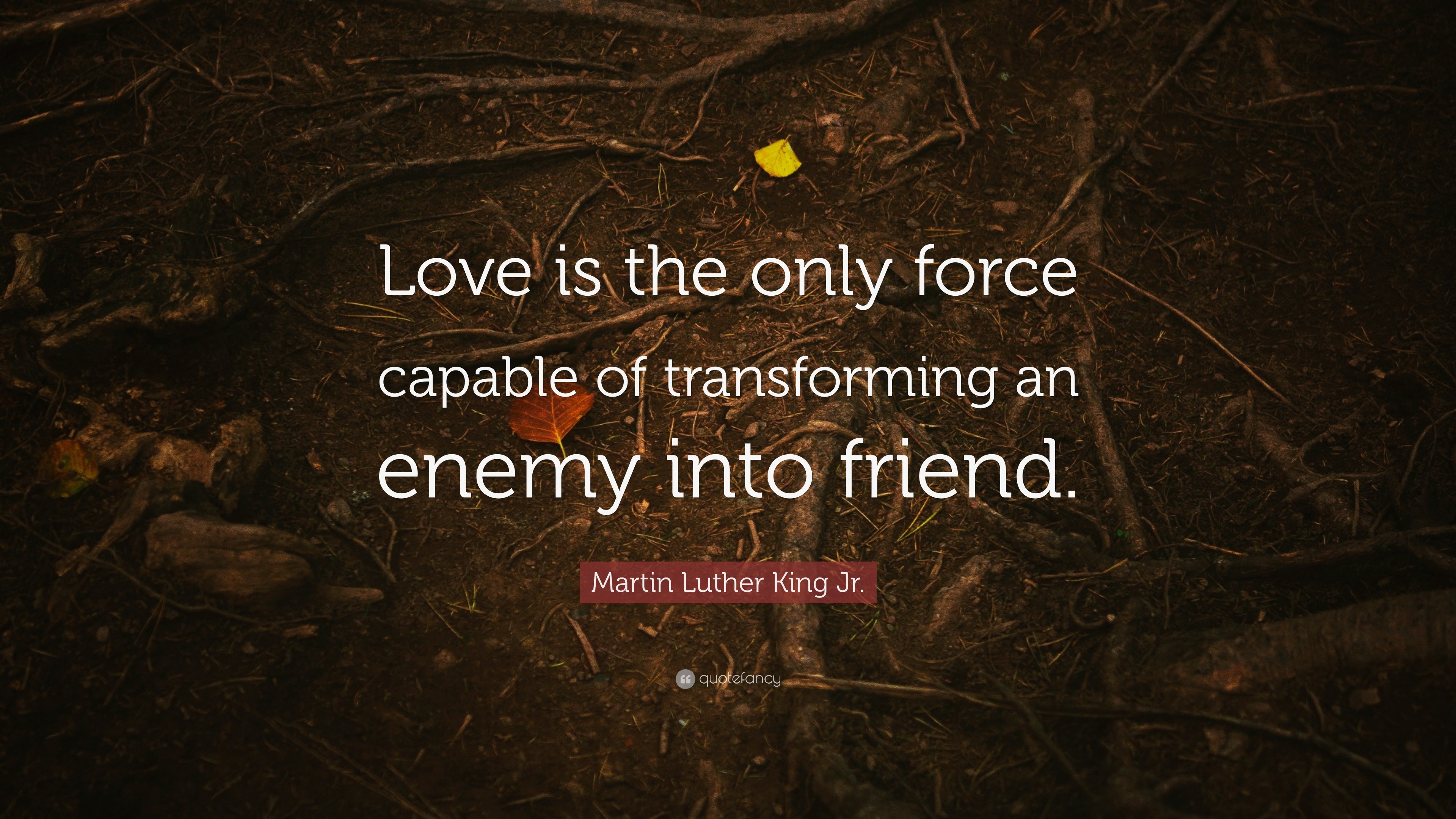 Martin Luther King Jr. Quote: “Love is the only force capable of ...