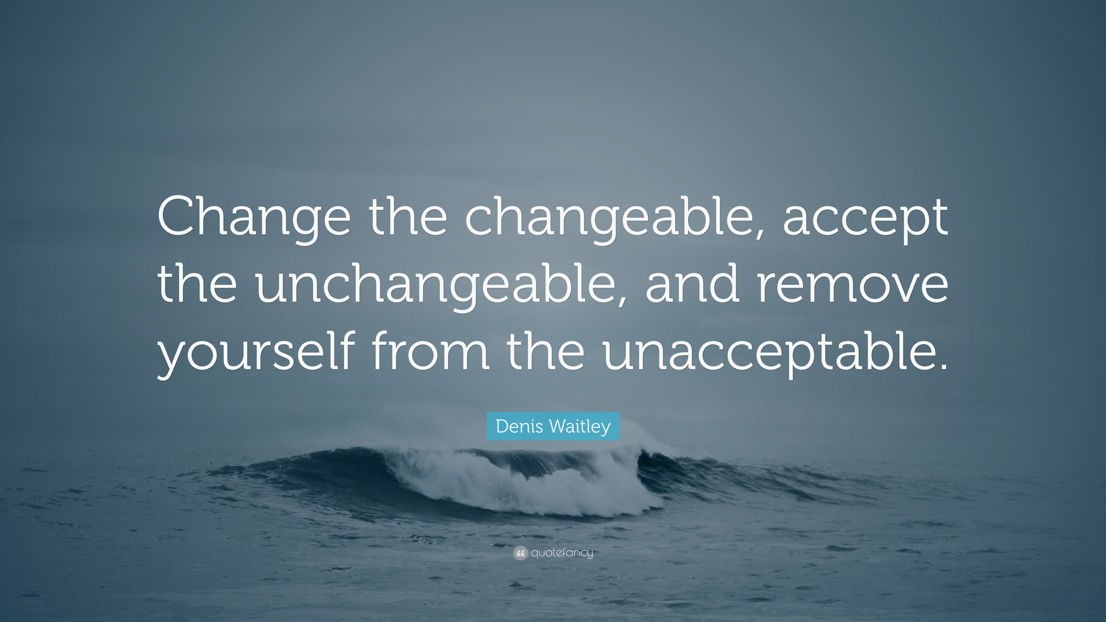 Denis Waitley Quote: “Change the changeable, accept the unchangeable ...