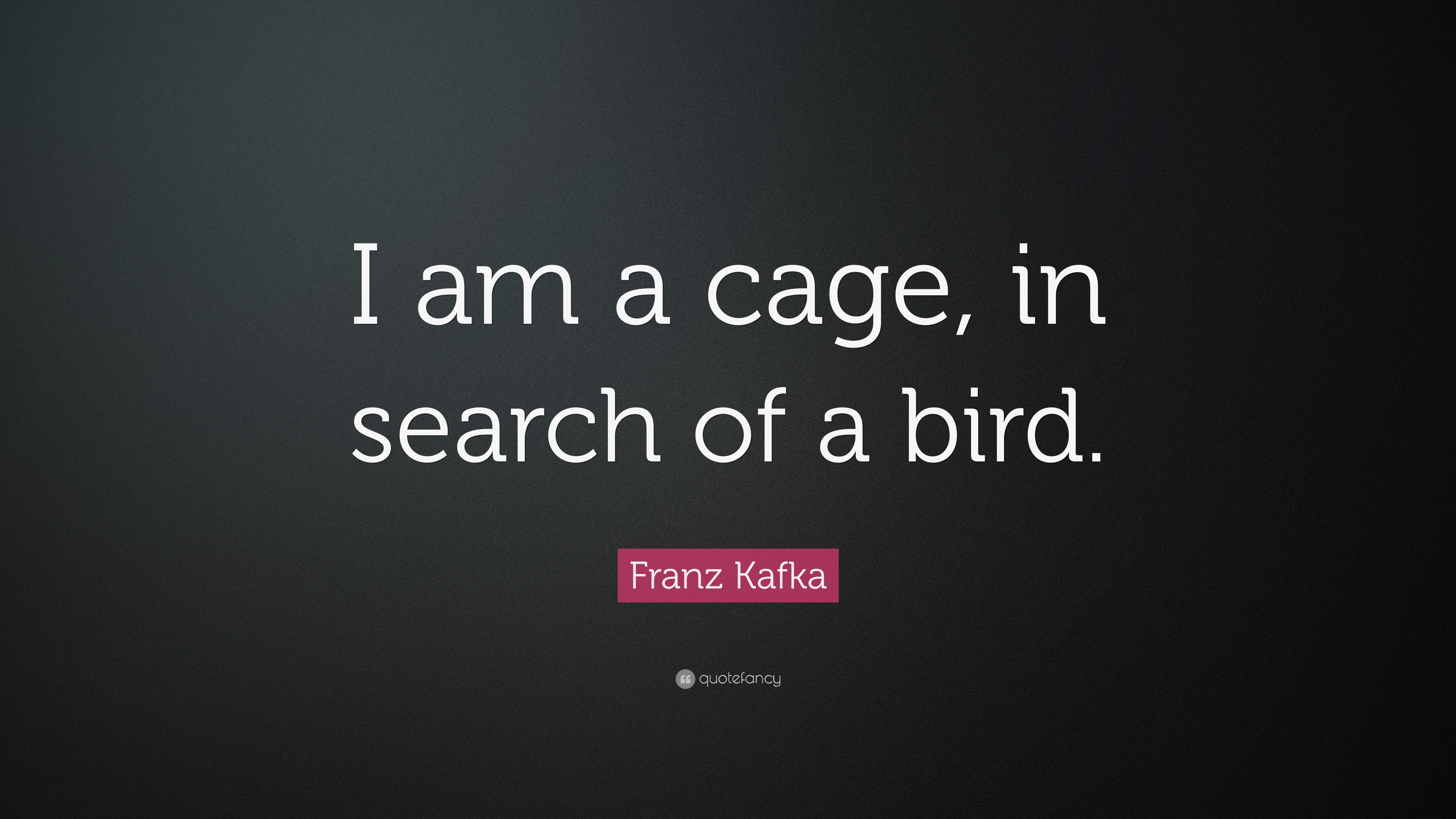 Franz Kafka Quote: “I am a cage, in search of a bird.”