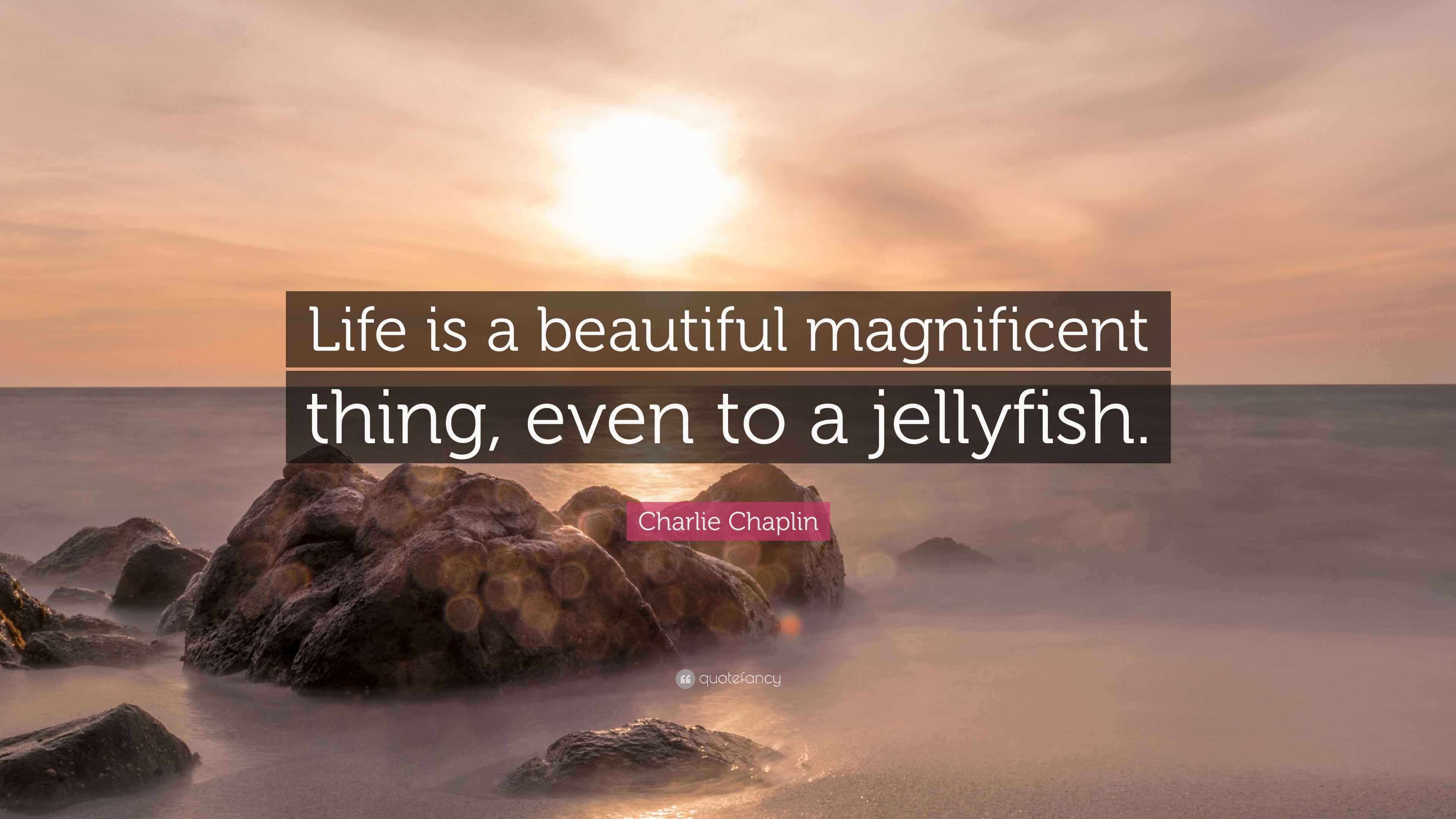 Charlie Chaplin Quote: “Life is a beautiful magnificent thing, even to ...