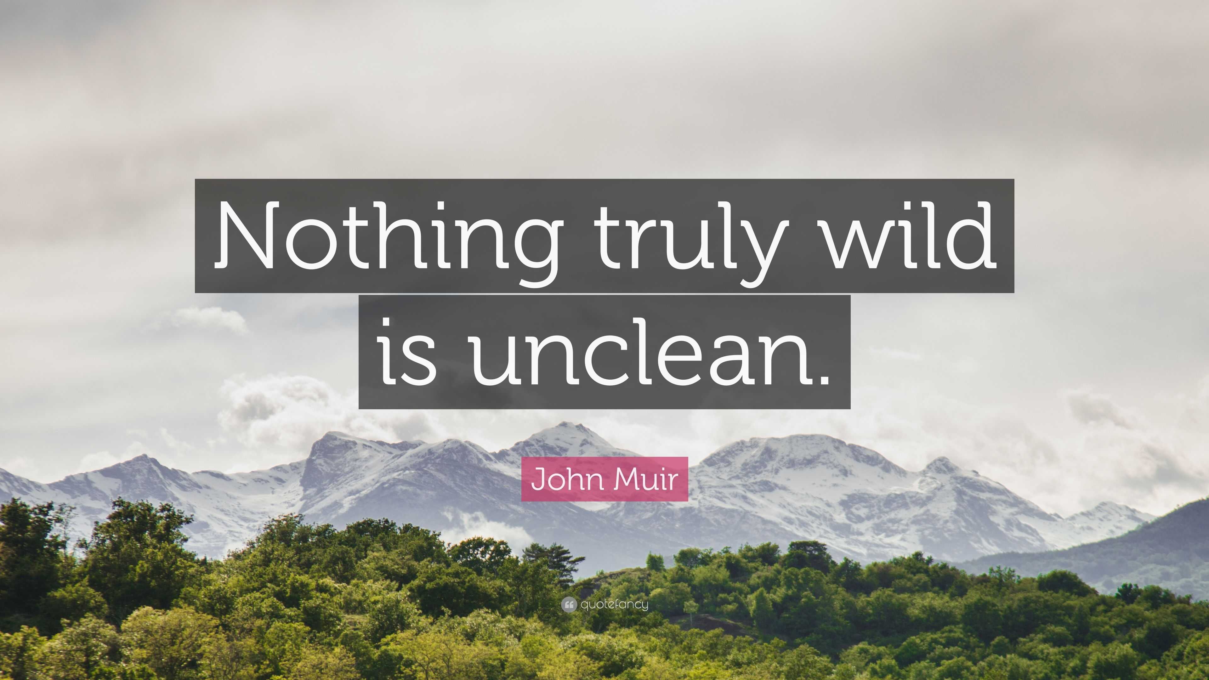 John Muir Quote: “Nothing truly wild is unclean.”