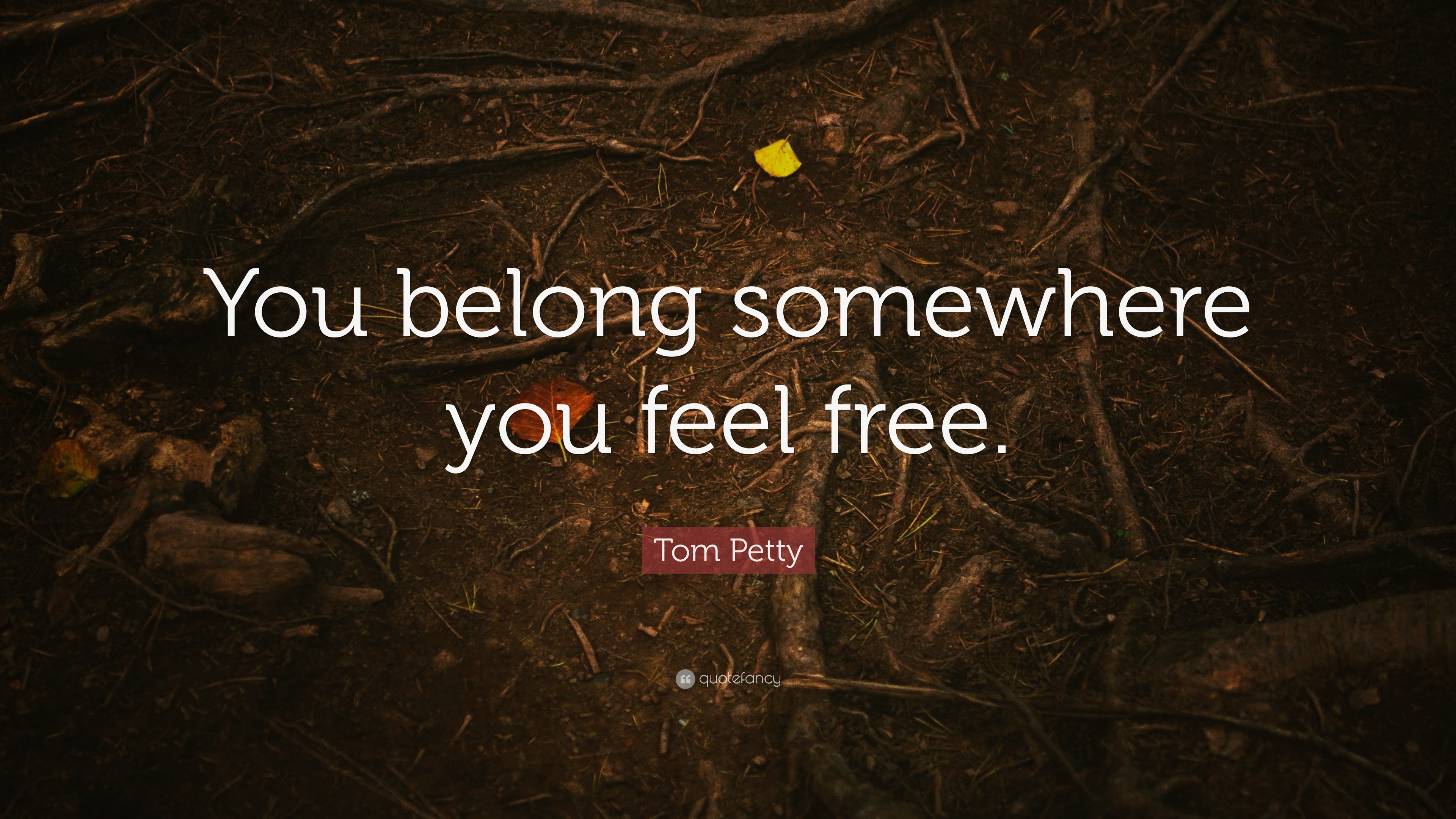 Tom Petty Quote: “You belong somewhere you feel free.”