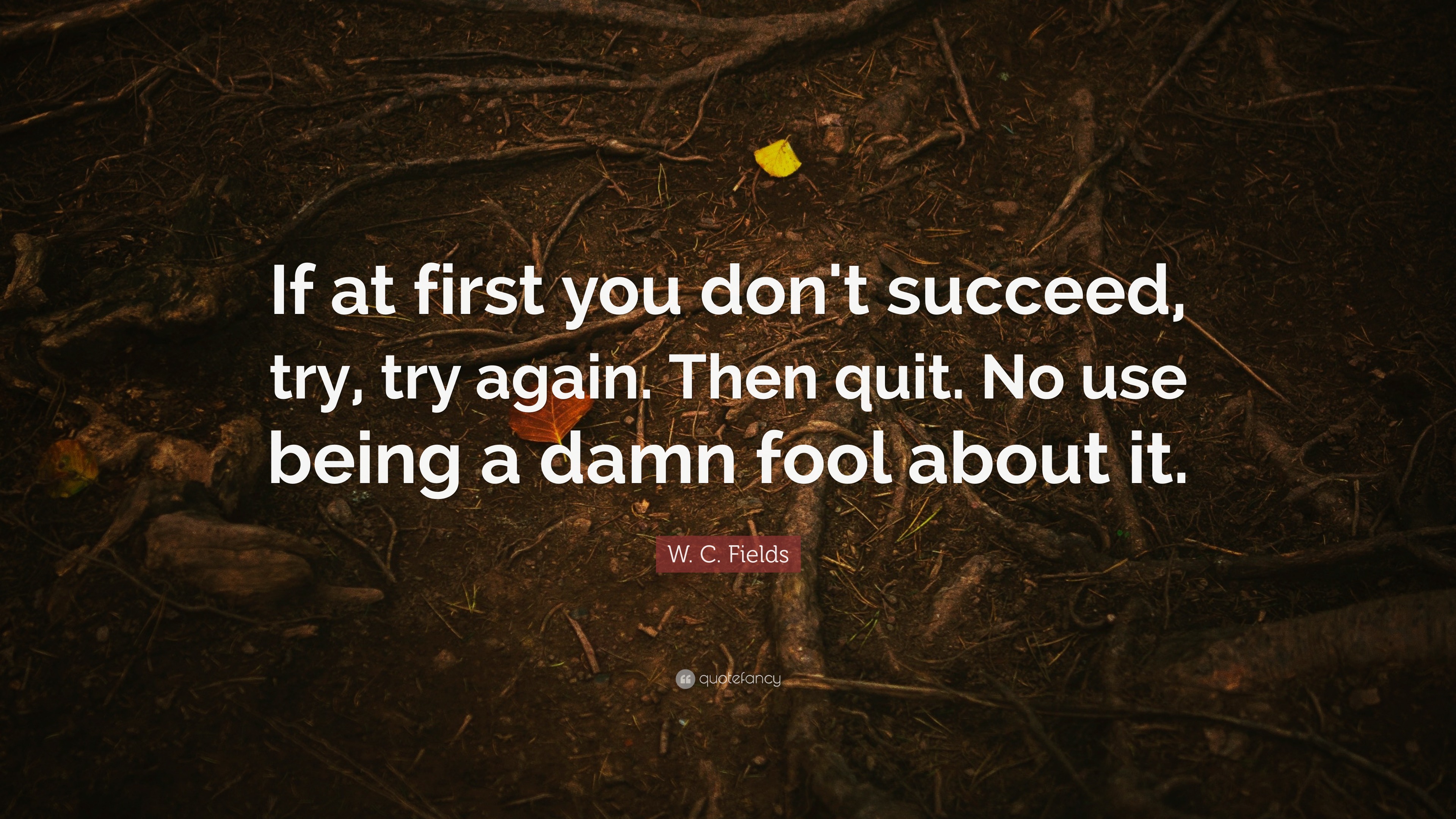 W. C. Fields Quote: “If at first you don't succeed, try, try again ...