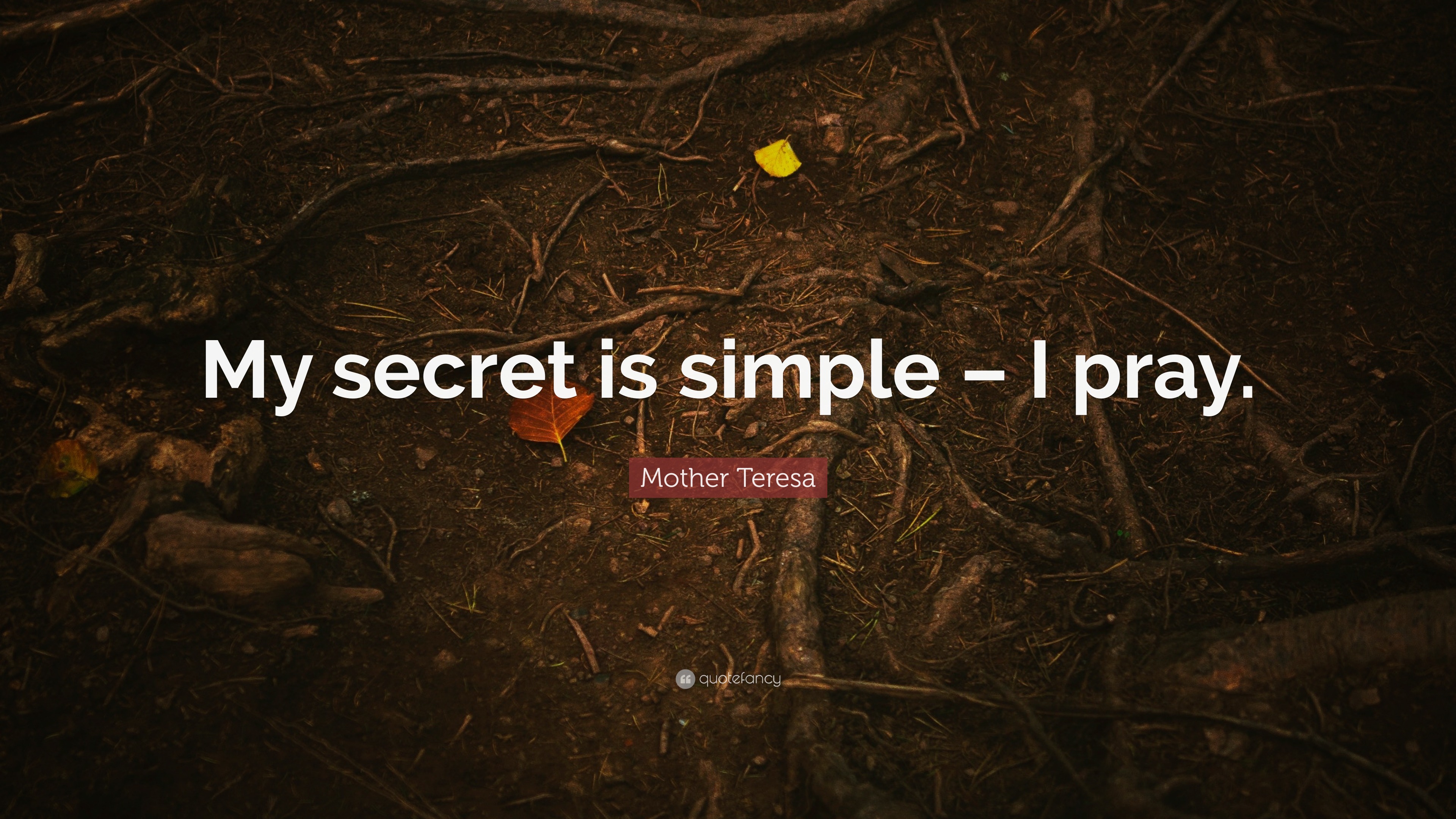 Mother Teresa Quote: “My secret is simple – I pray.”