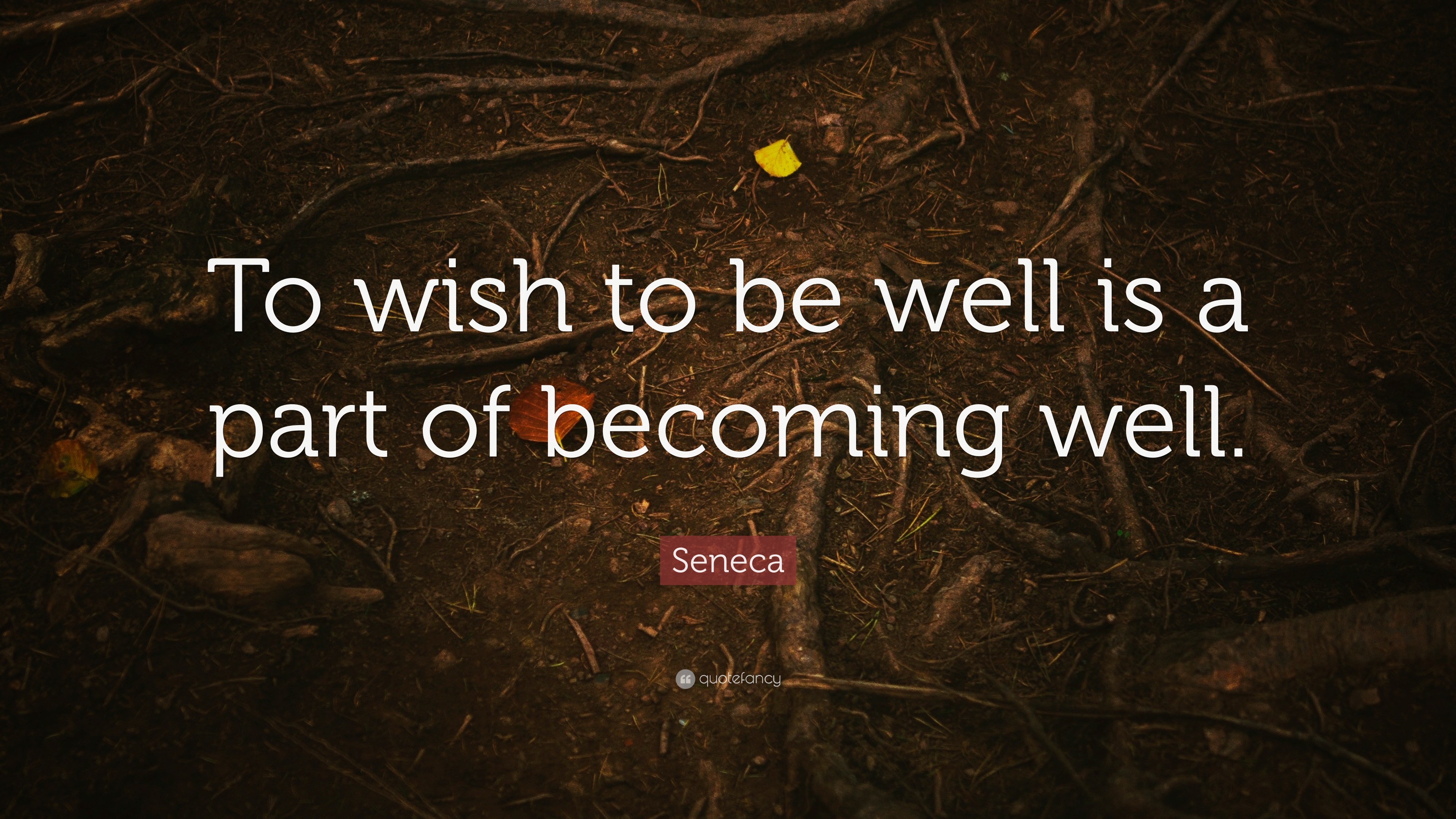 Seneca Quote: “To wish to be well is a part of becoming well.”