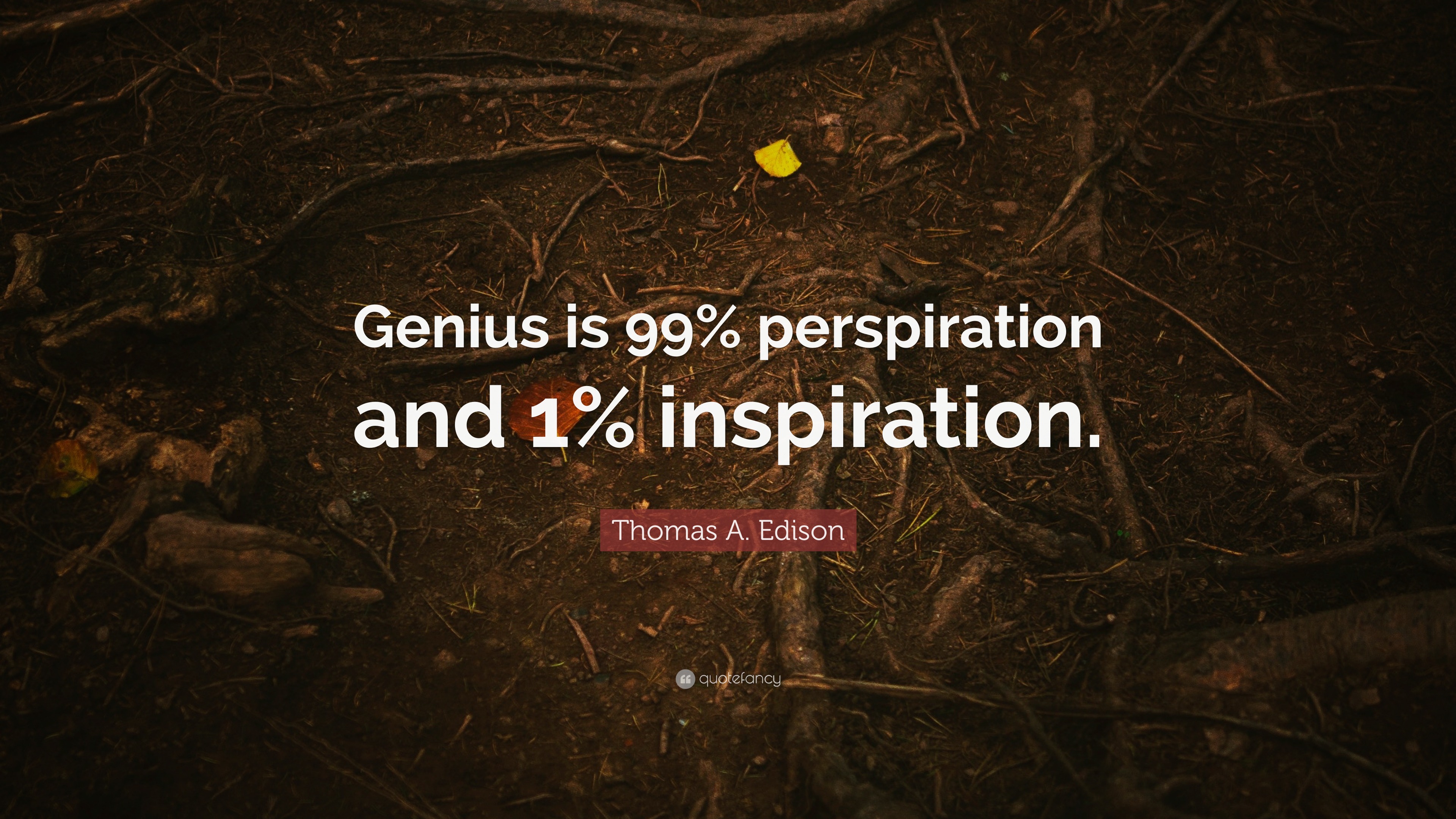 Thomas A. Edison Quote: “Genius is 99% perspiration and 1% inspiration.”
