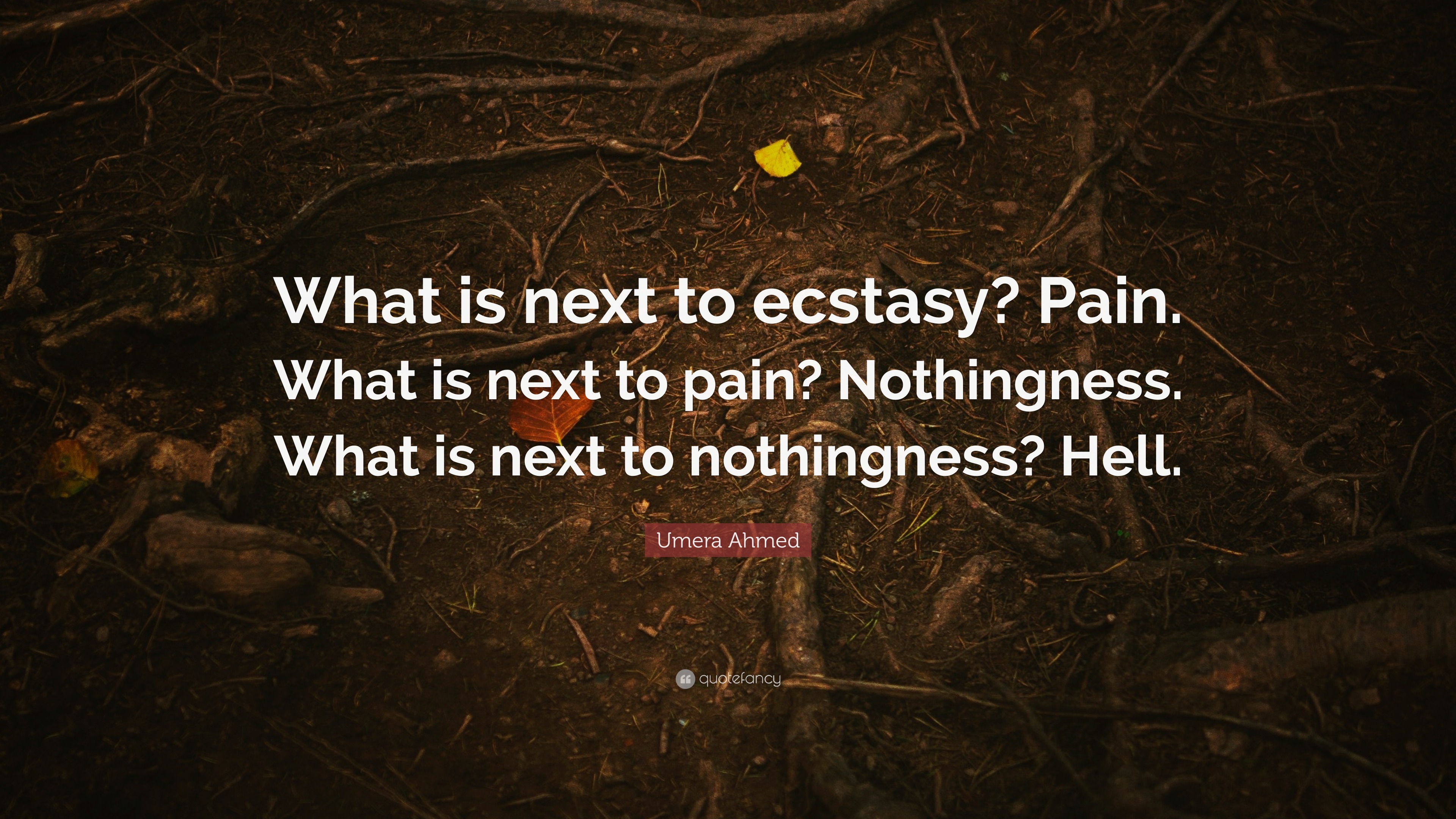 Umera Ahmed Quote: “What is next to ecstasy? Pain. What is next to pain ...