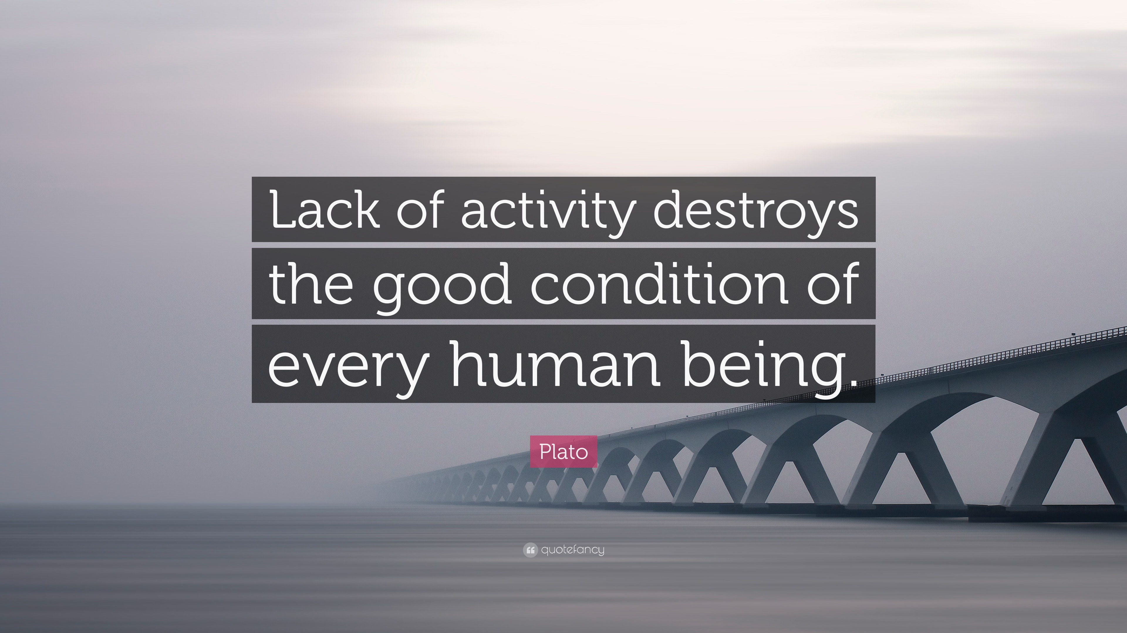 Plato Quote: “Lack of activity destroys the good condition of every ...