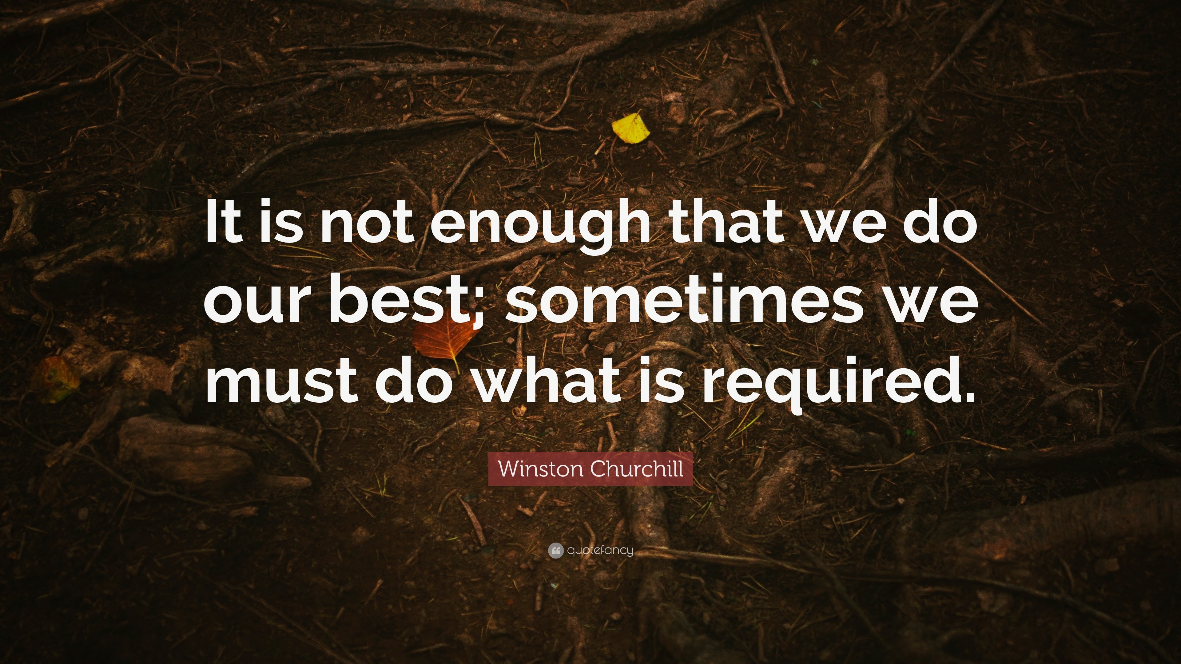 Winston Churchill Quote: “It is not enough that we do our best ...
