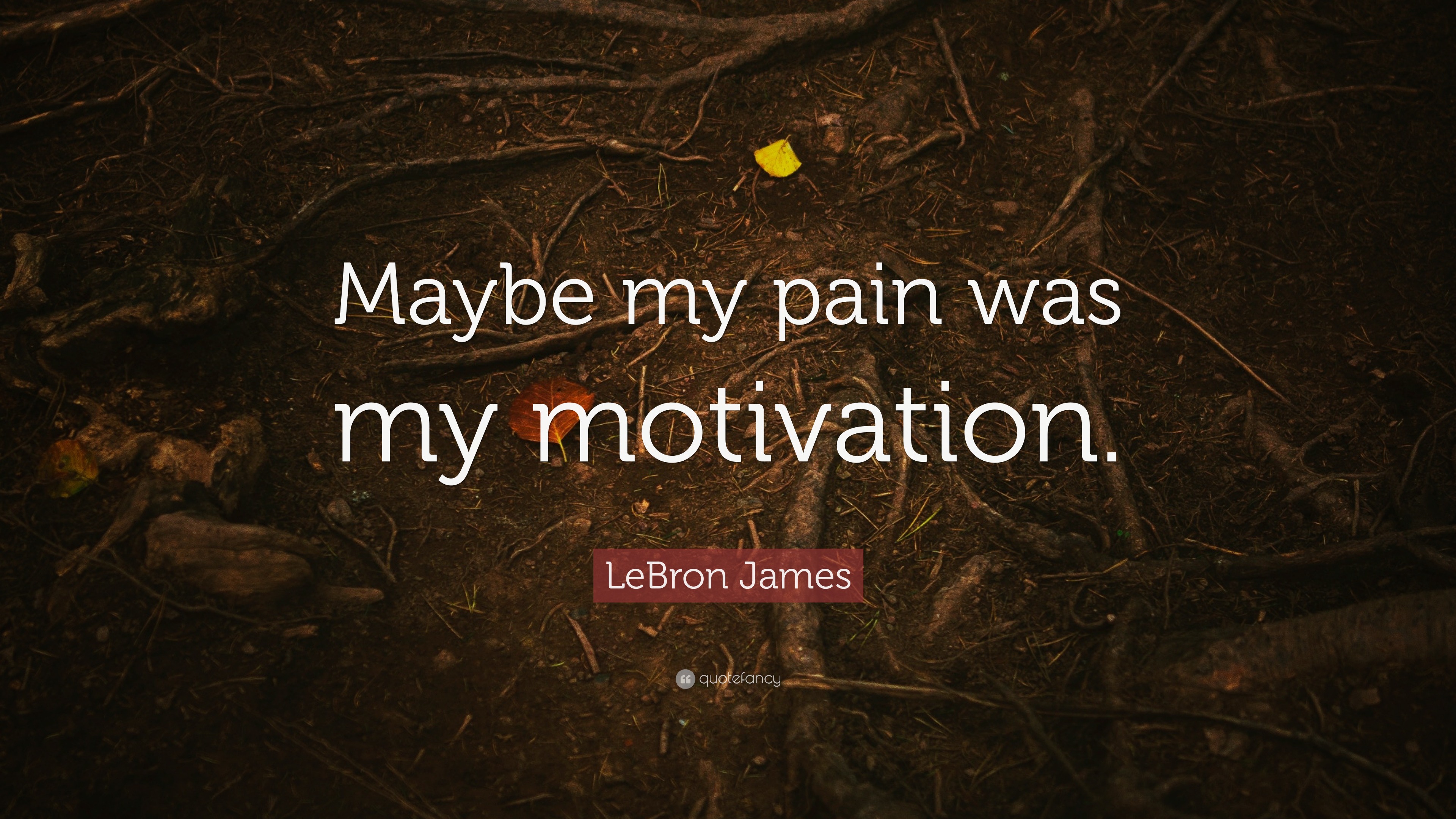 LeBron James Quote: “Maybe my pain was my motivation.”