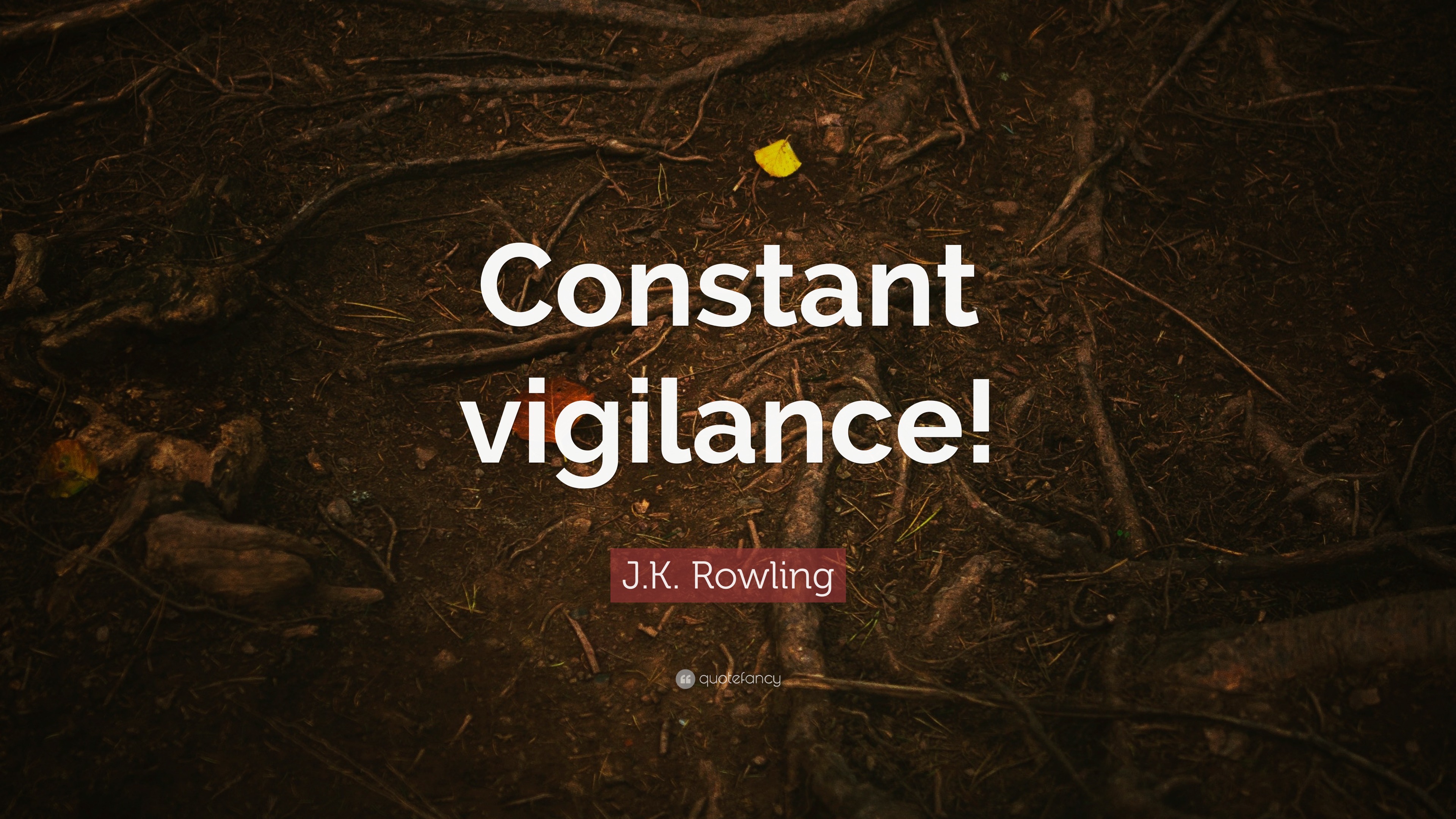 J.K. Rowling Quote: “Constant vigilance!”