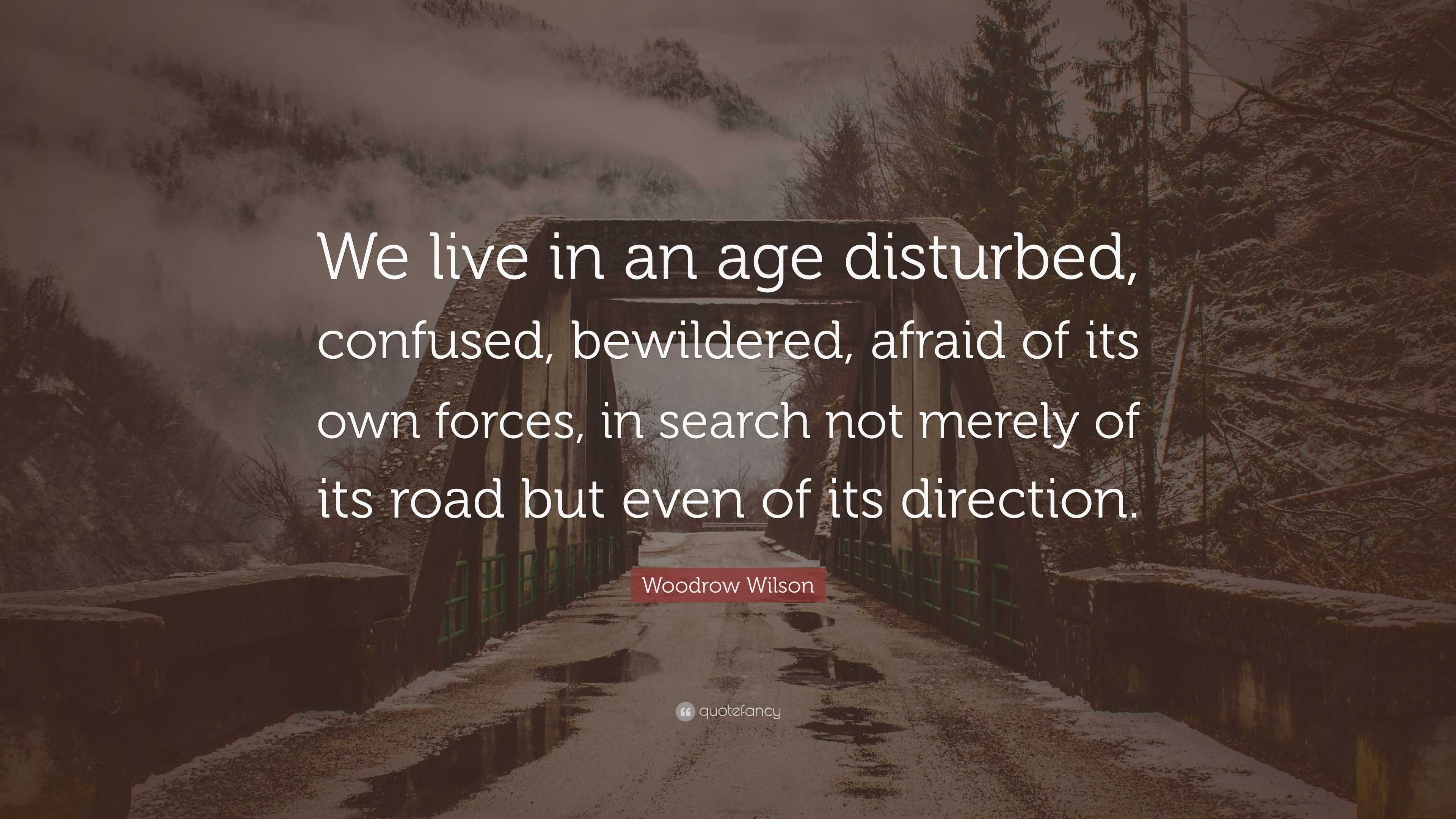 Woodrow Wilson Quote: “We live in an age disturbed, confused ...