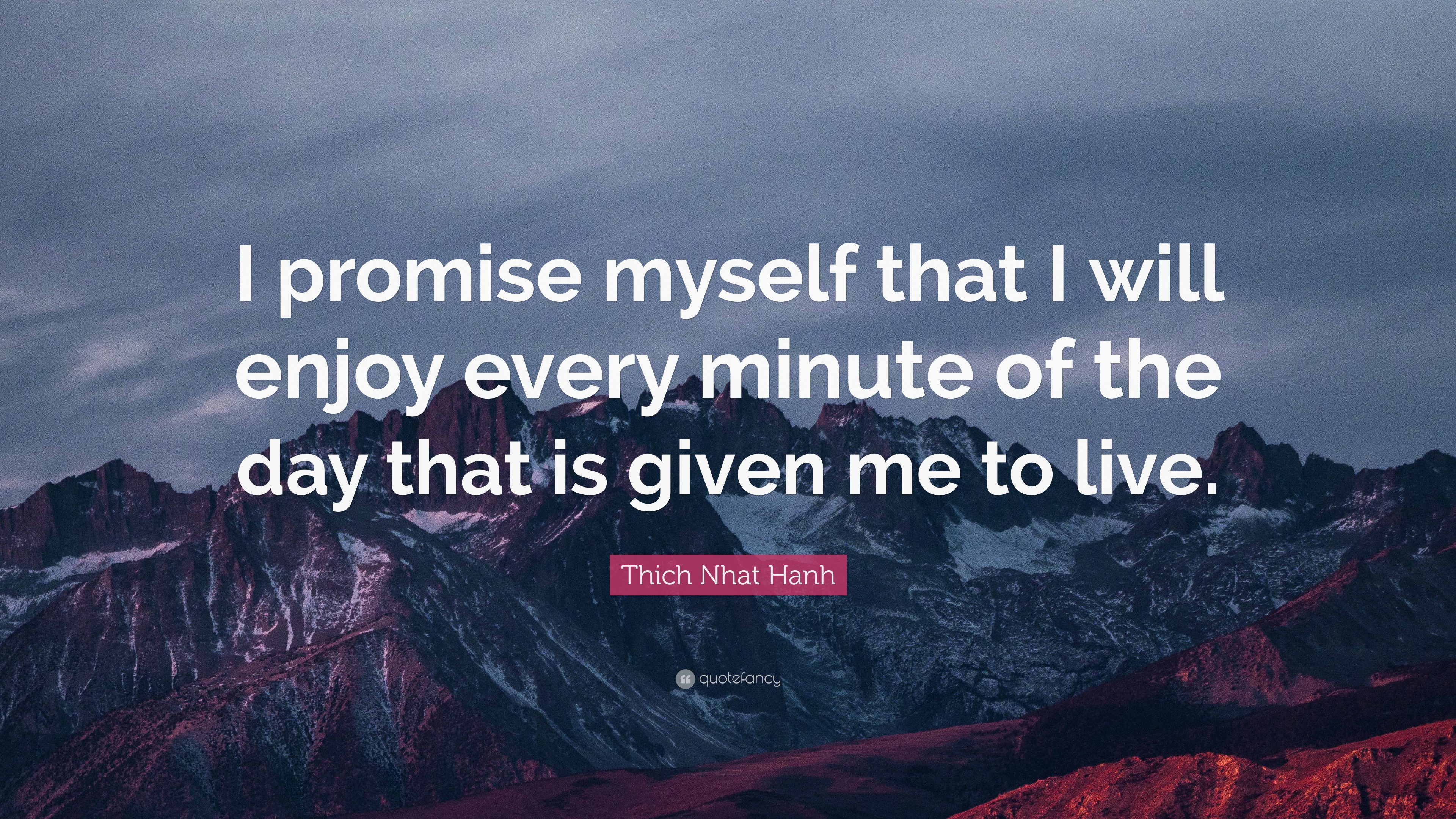 Thich Nhat Hanh Quote: “I promise myself that I will enjoy every minute ...