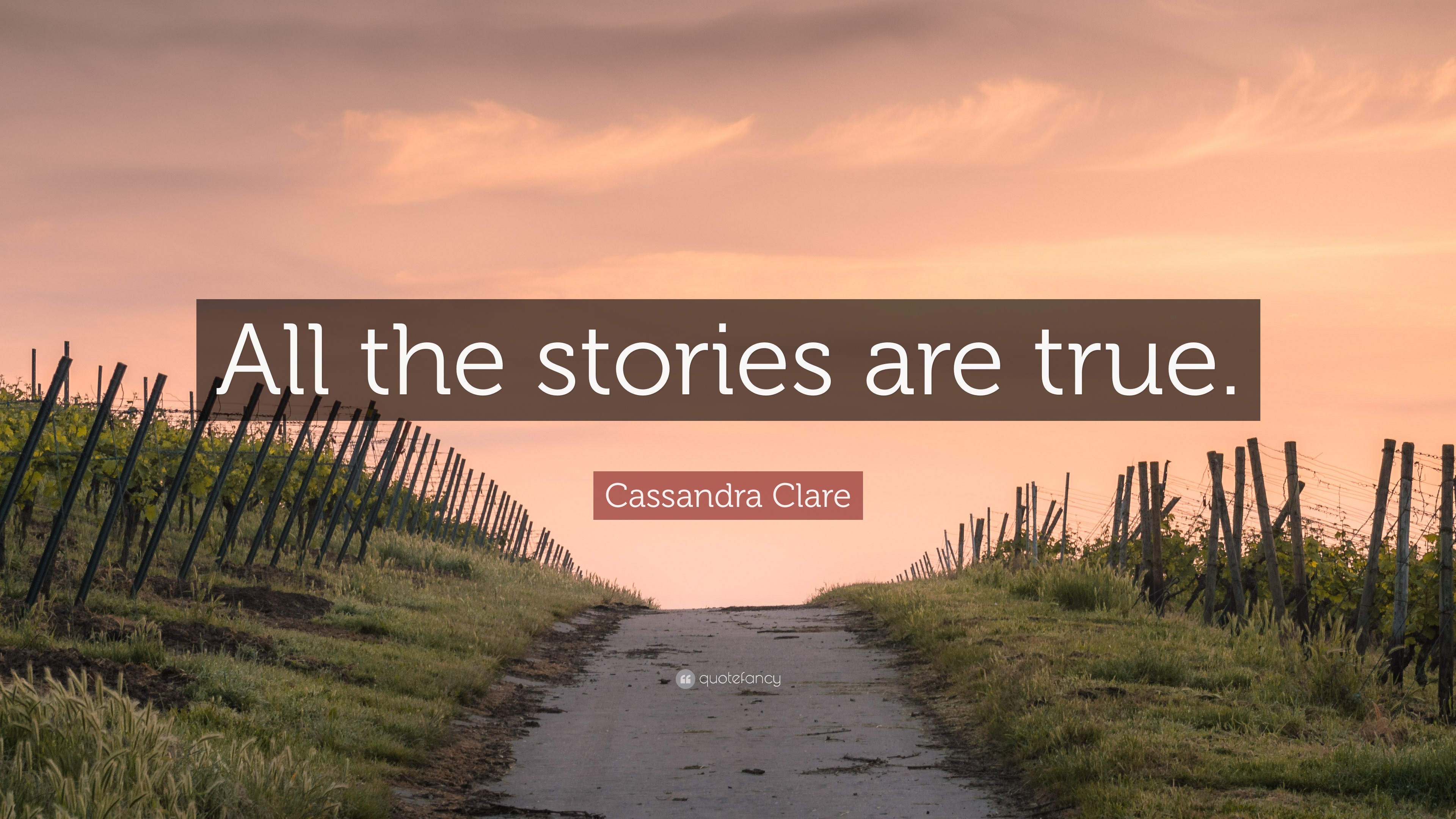 Cassandra Clare Quote: “All the stories are true.”