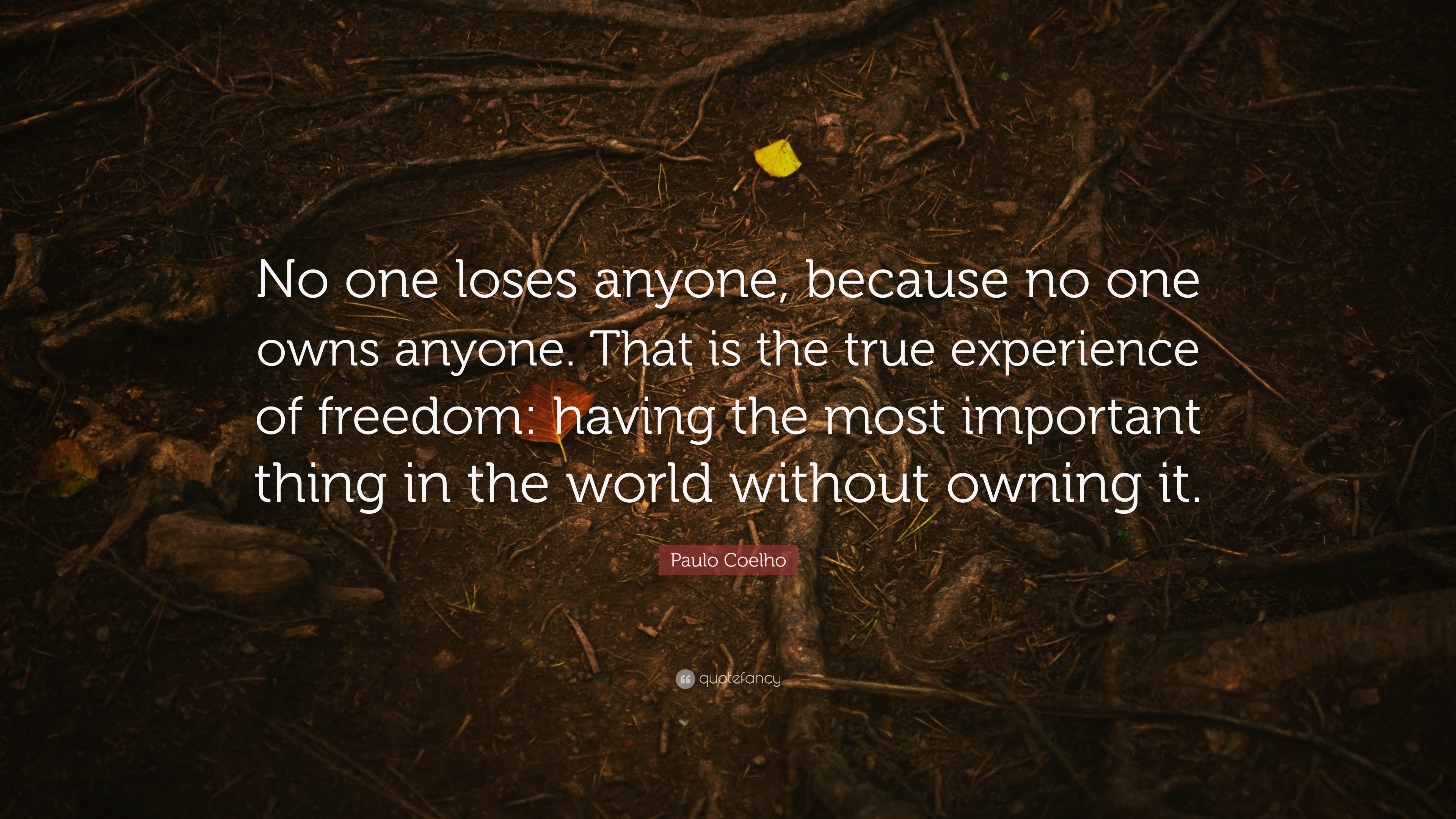 Paulo Coelho Quote: “No one loses anyone, because no one owns anyone ...