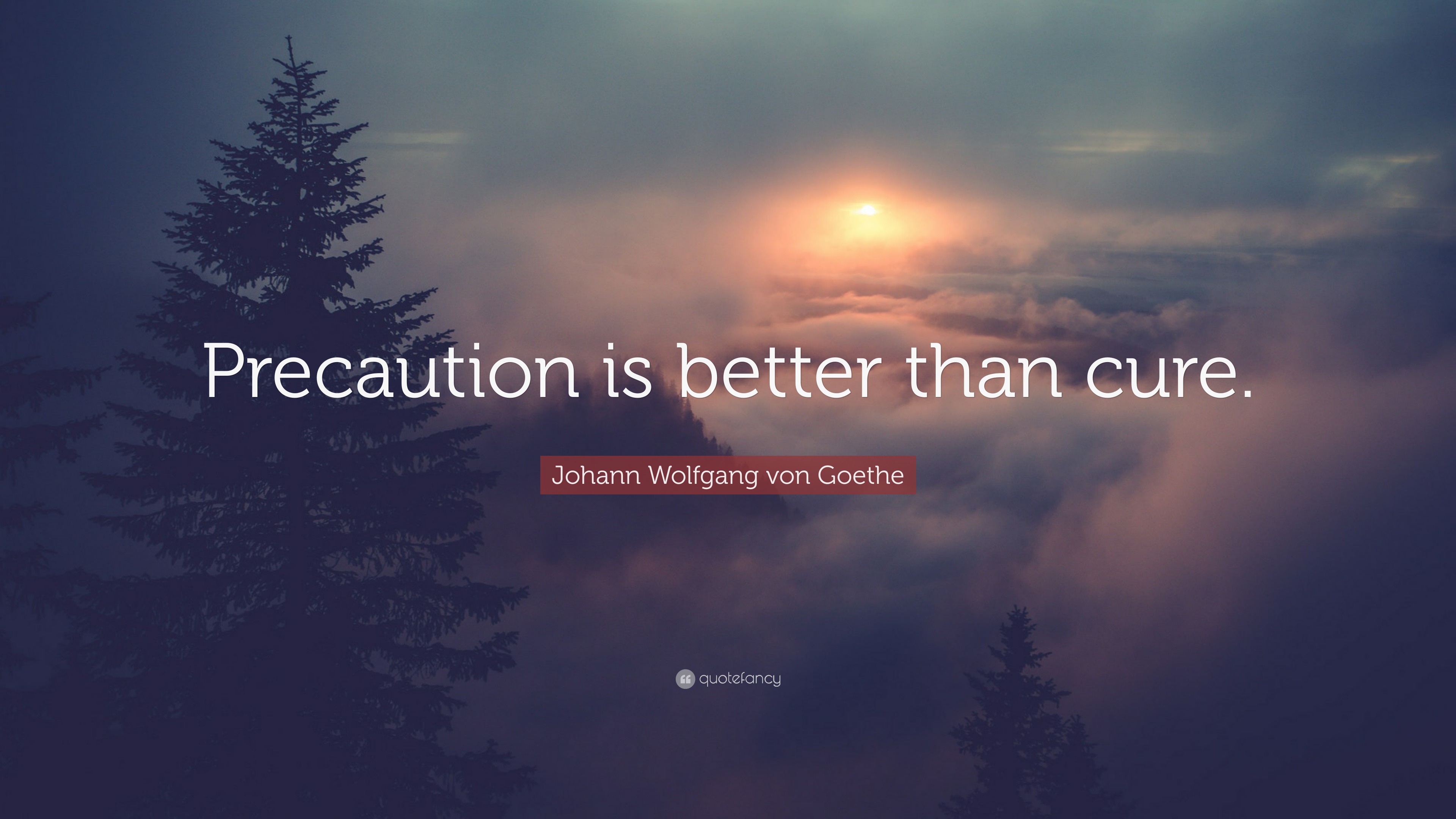 Johann Wolfgang von Goethe Quote: “Precaution is better than cure.”