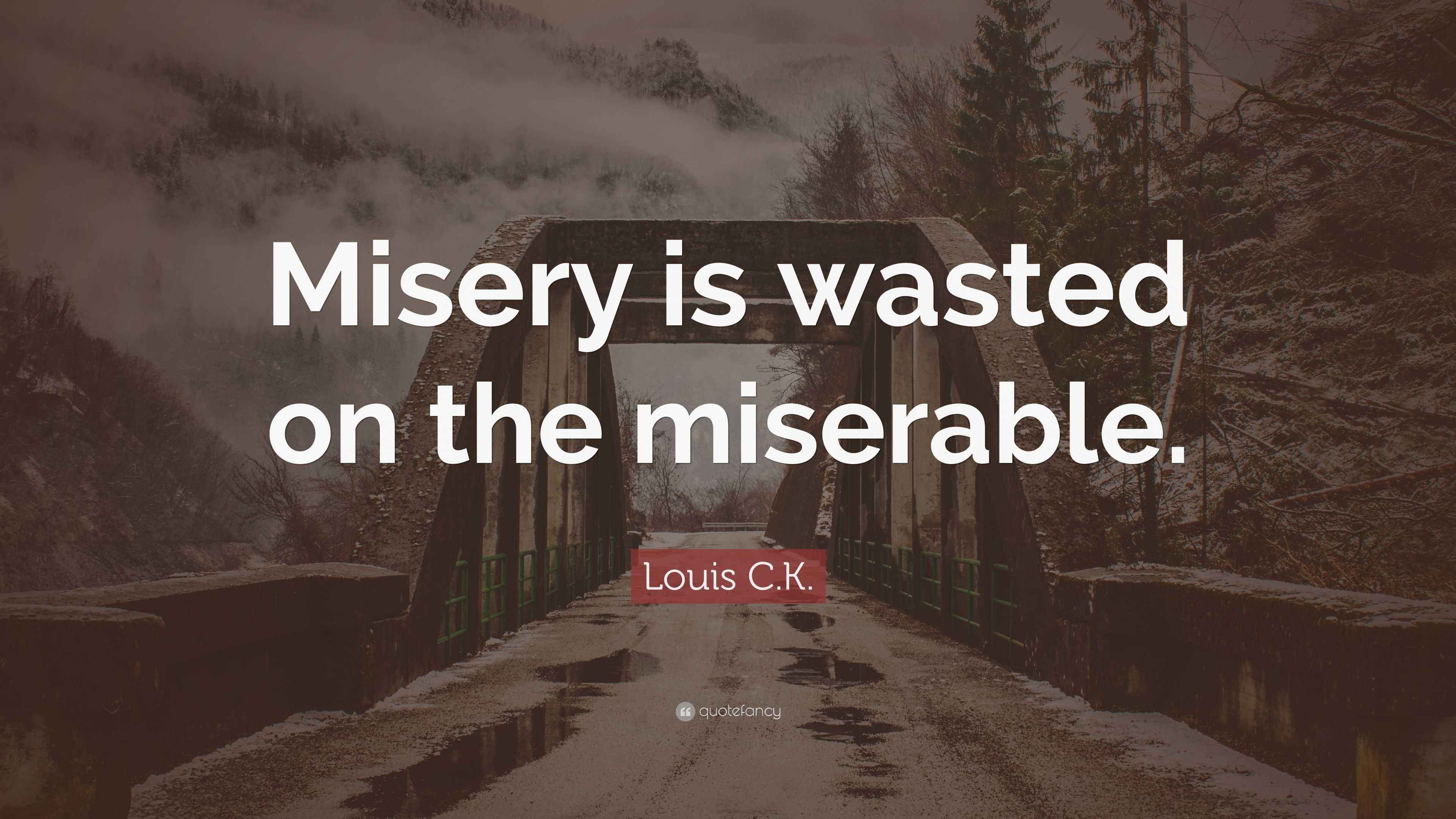 Louis C.K. Quote: “Misery is wasted on the miserable.”