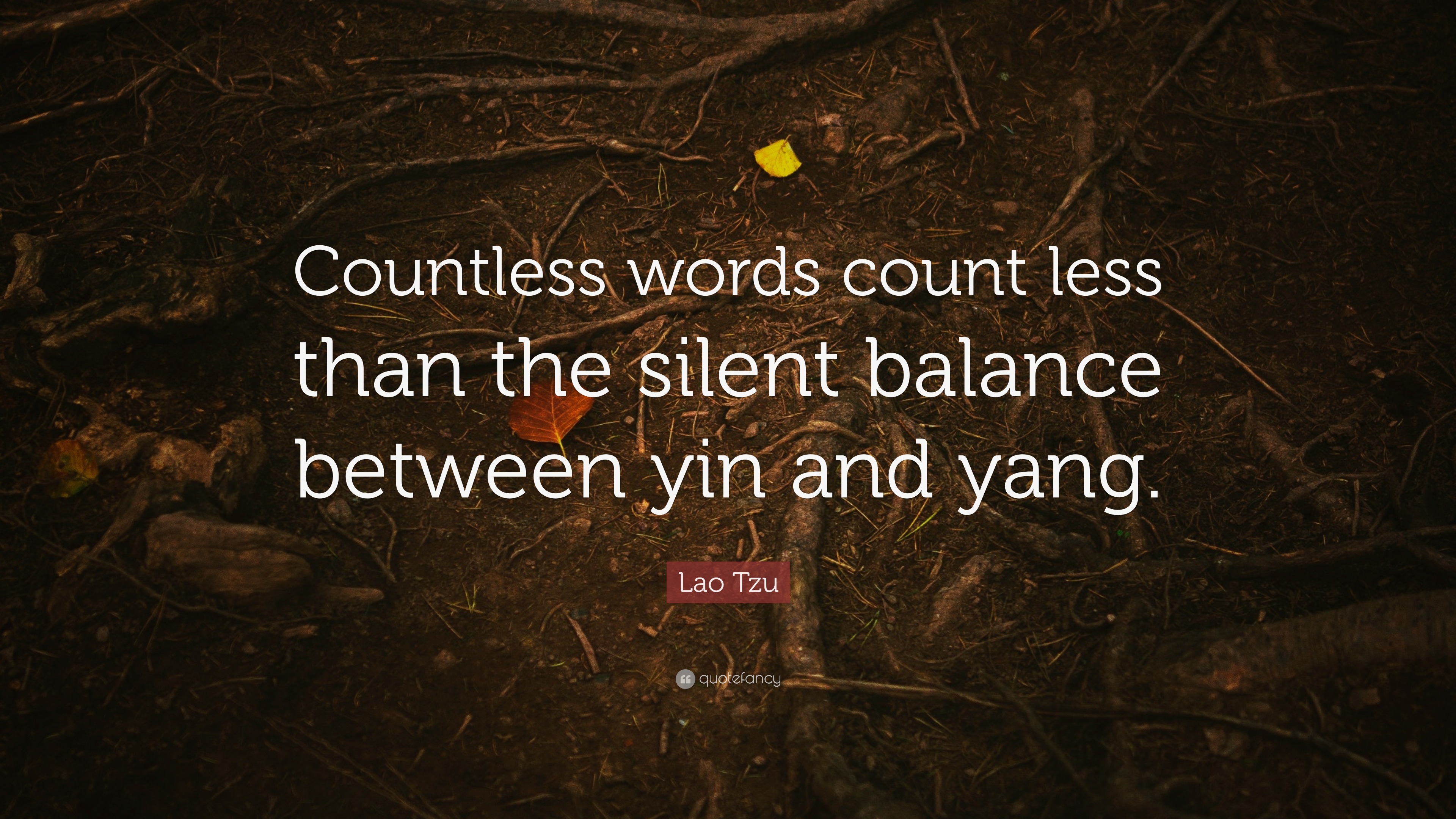 Lao Tzu Quote: “Countless words count less than the silent balance ...