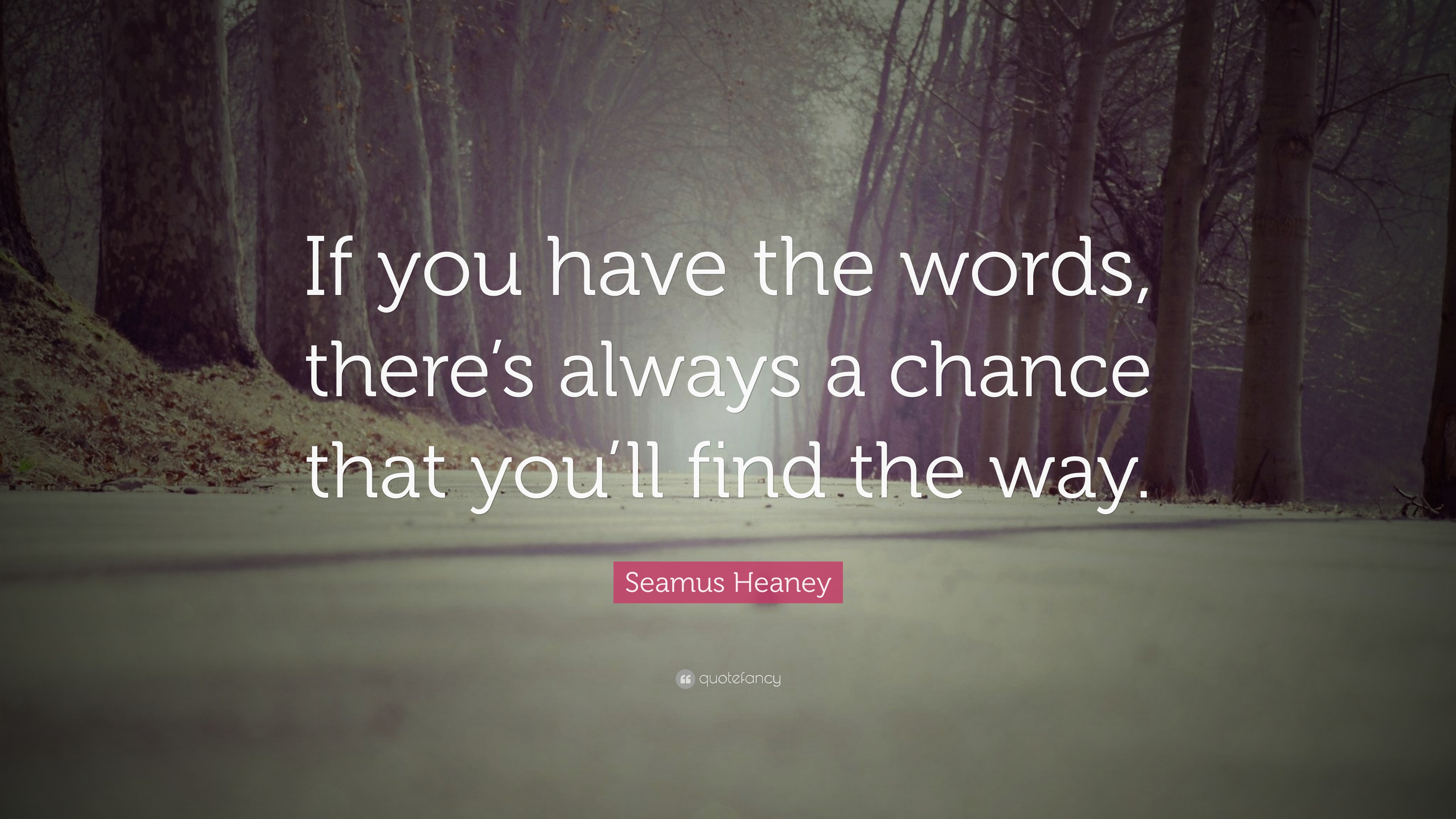 Seamus Heaney Quote: “If you have the words, there’s always a chance ...