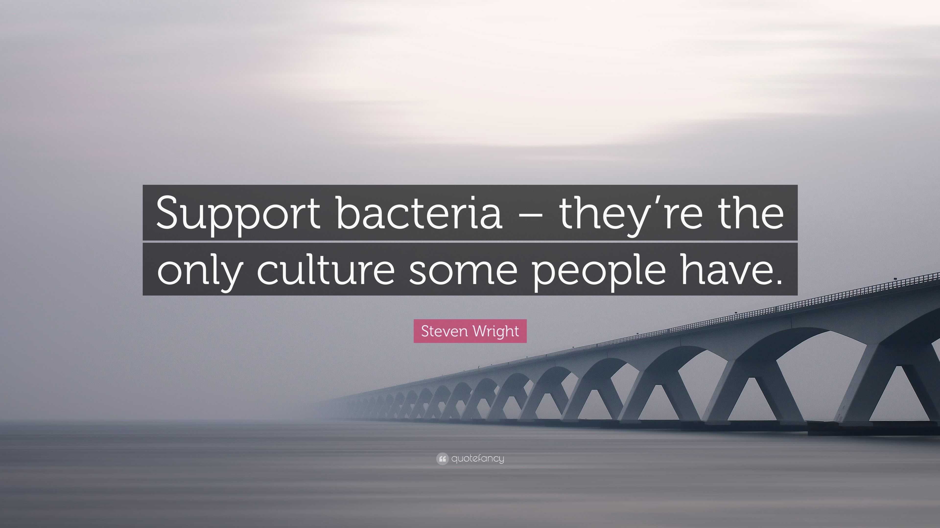 Steven Wright Quote: “Support bacteria – they’re the only culture some ...