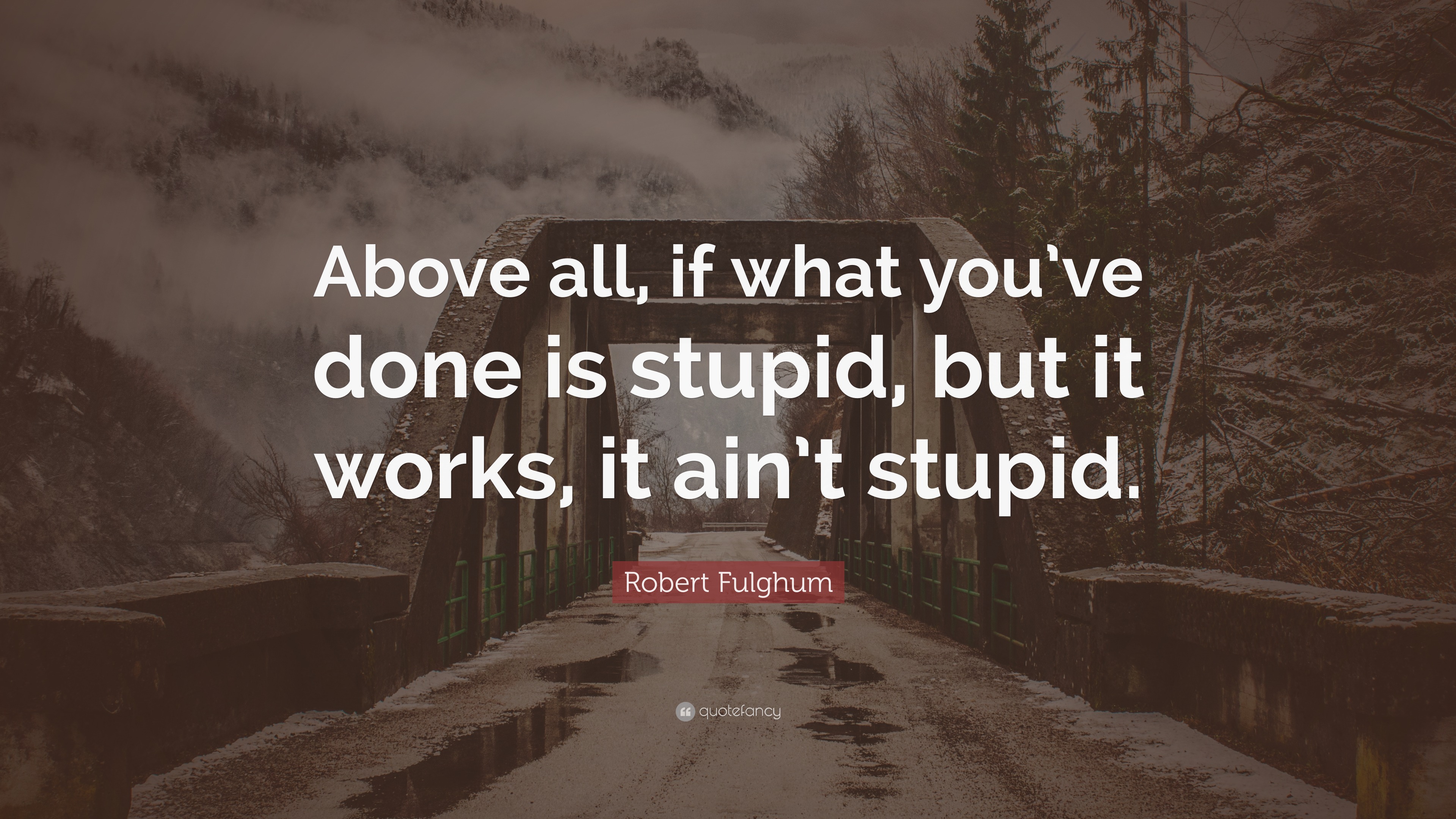Robert Fulghum Quote: “Above all, if what you’ve done is stupid, but it ...