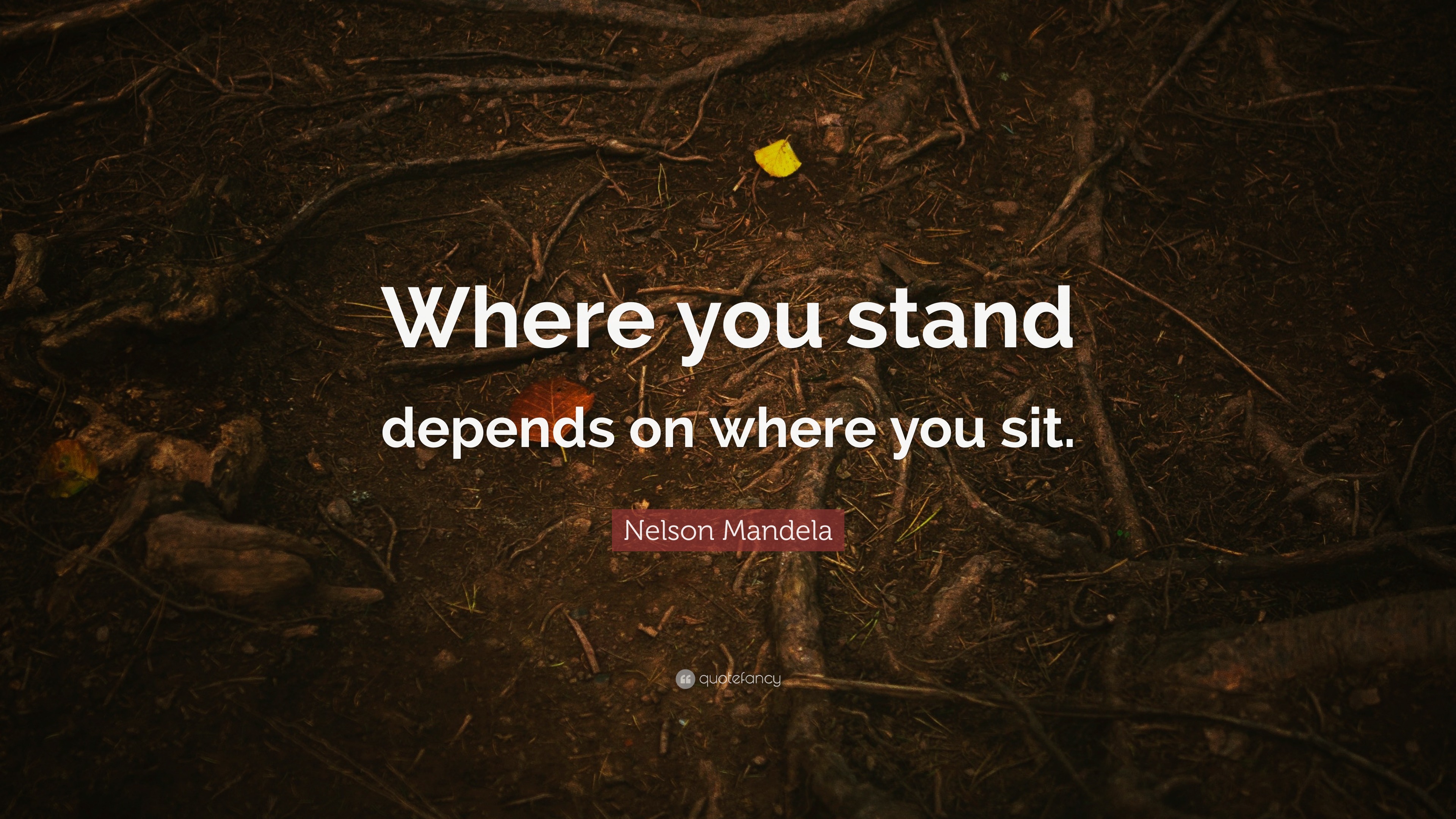 Nelson Mandela Quote: “Where you stand depends on where you sit.”