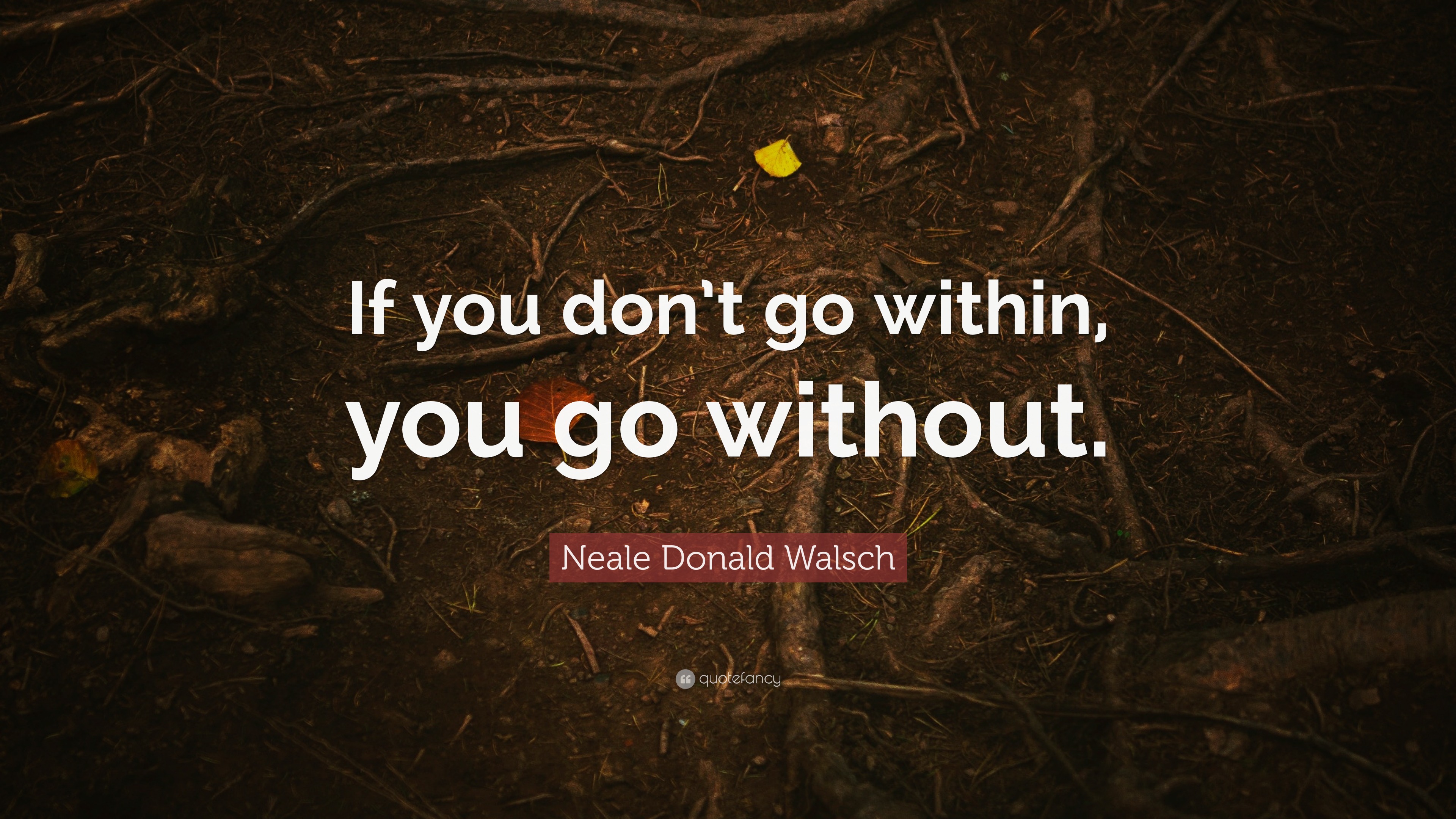 Neale Donald Walsch Quote: “If you don’t go within, you go without.”