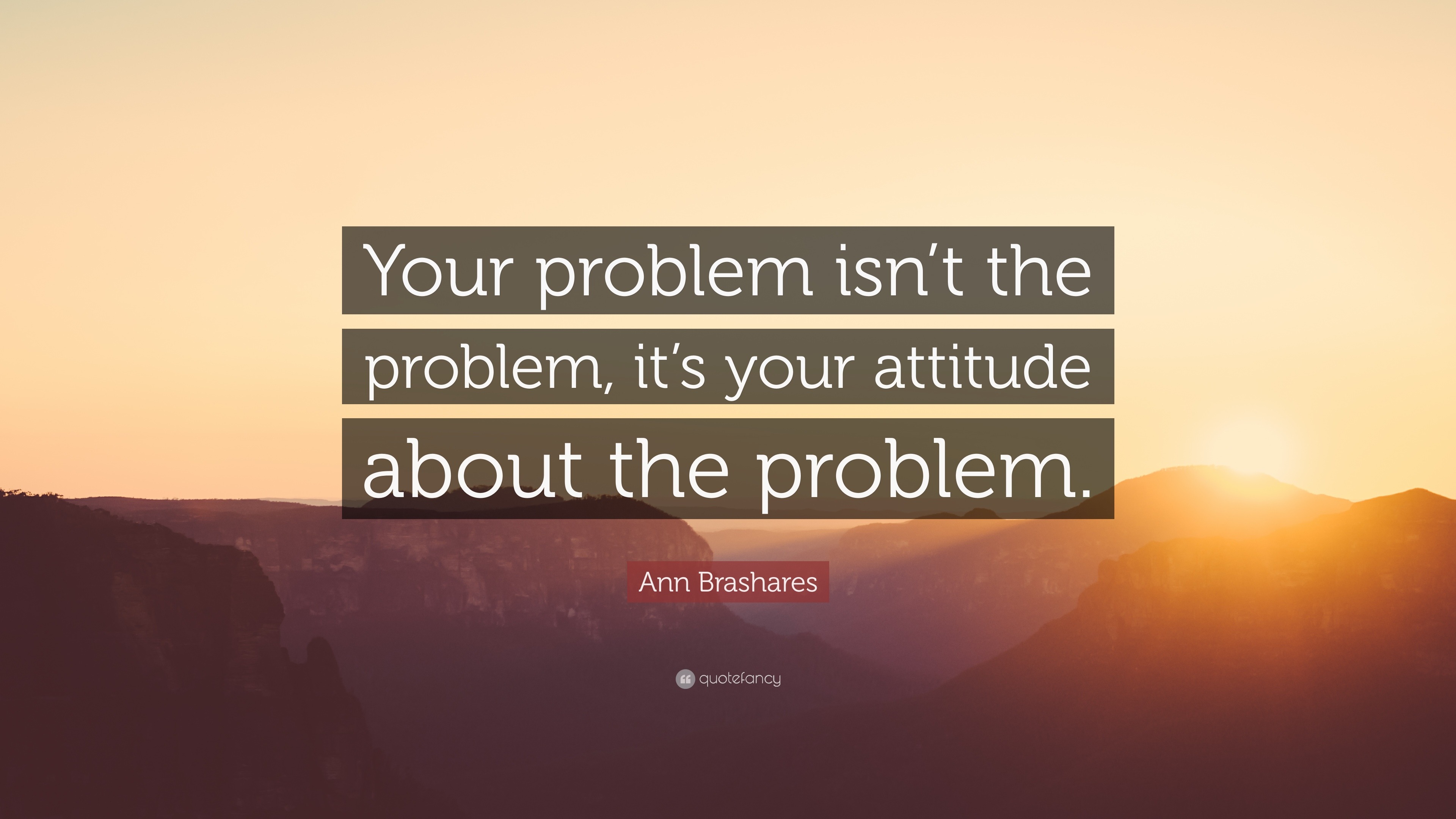 Ann Brashares Quote: “Your problem isn’t the problem, it’s your ...